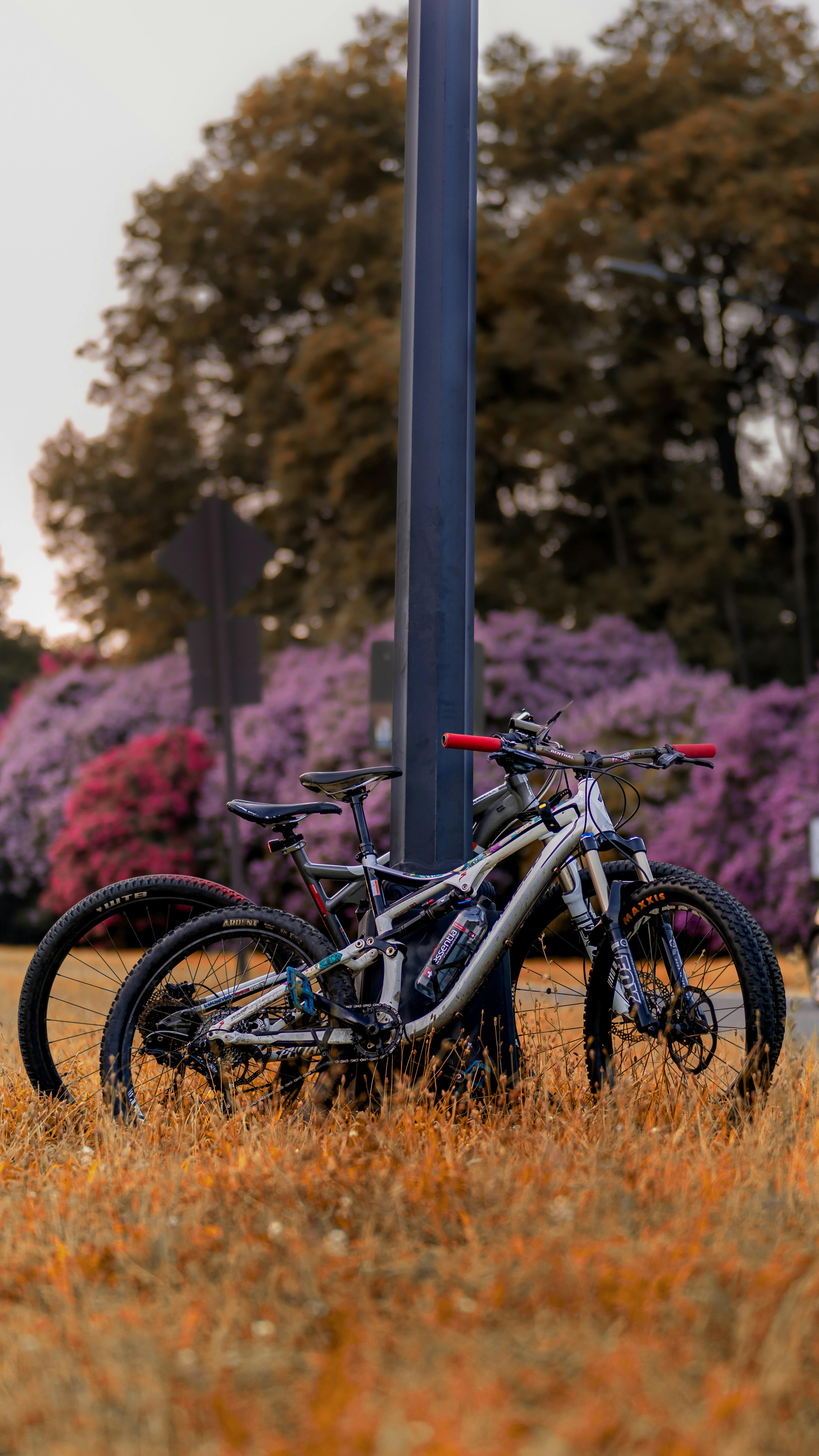 Bike Ride Photos, Download The BEST Free Bike Ride Stock Photos & HD Images