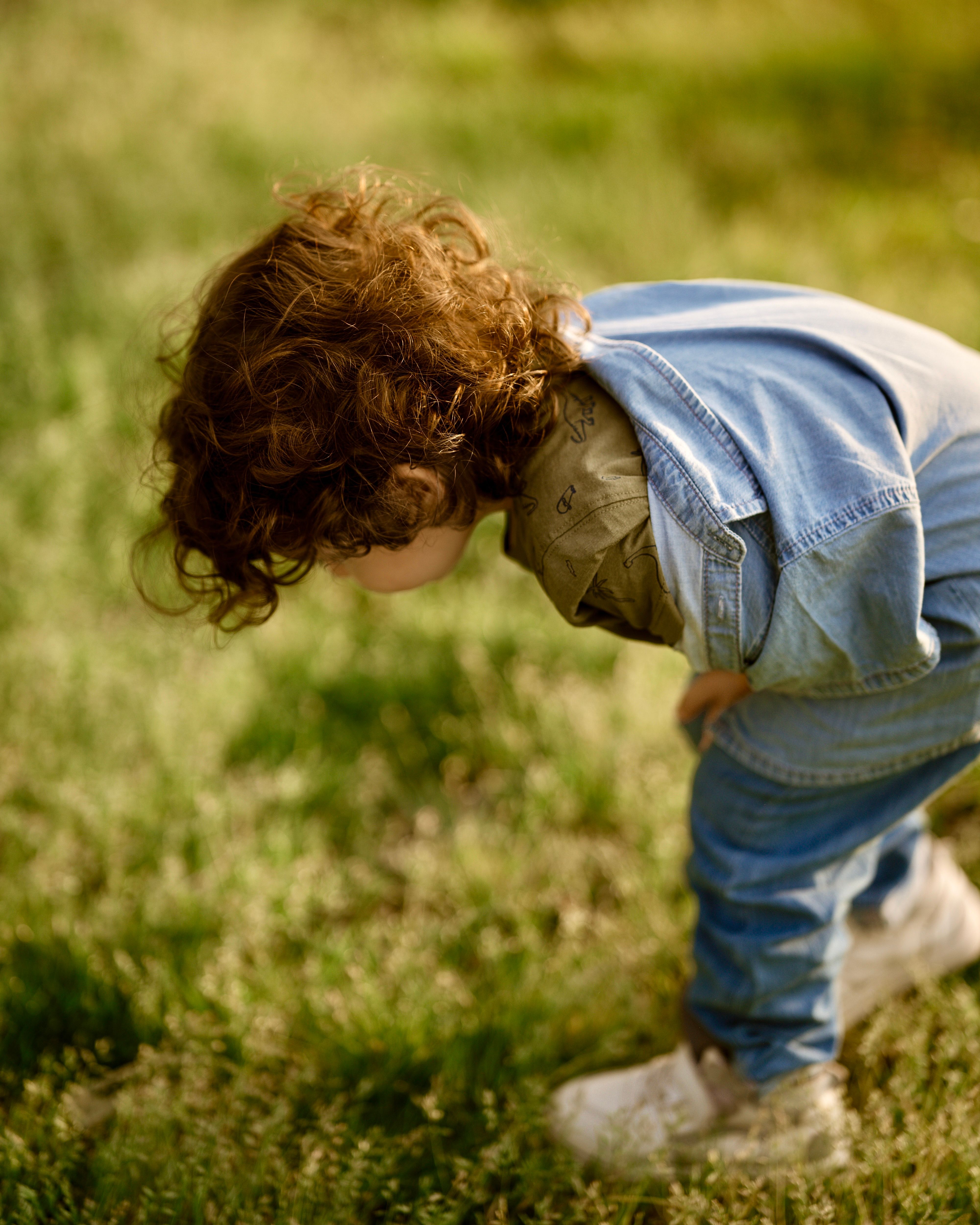 Curious Child Exploring a Sunny Meadow · Free Stock Photo