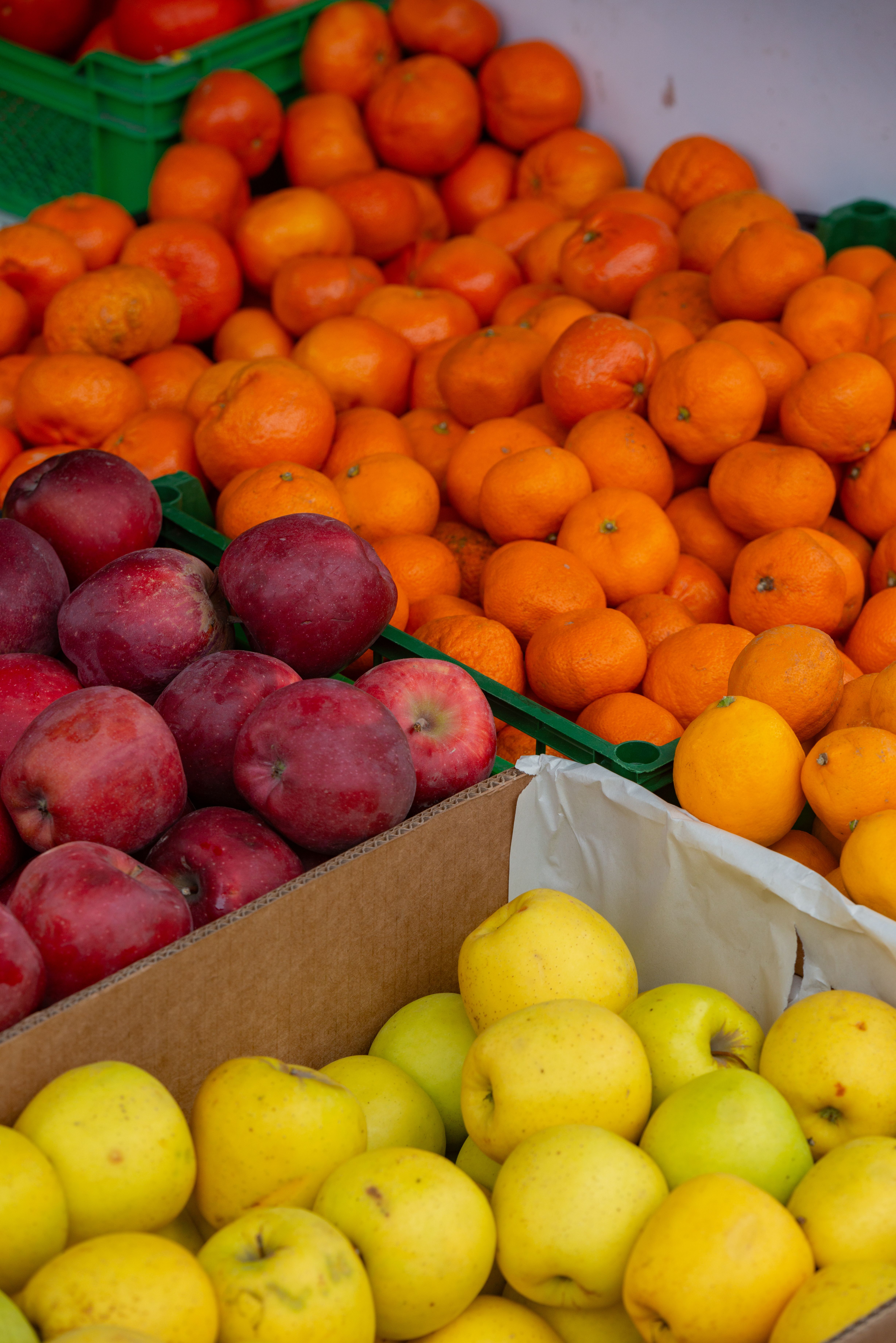 Assorted Fresh Fruits Display at Market · Free Stock Photo