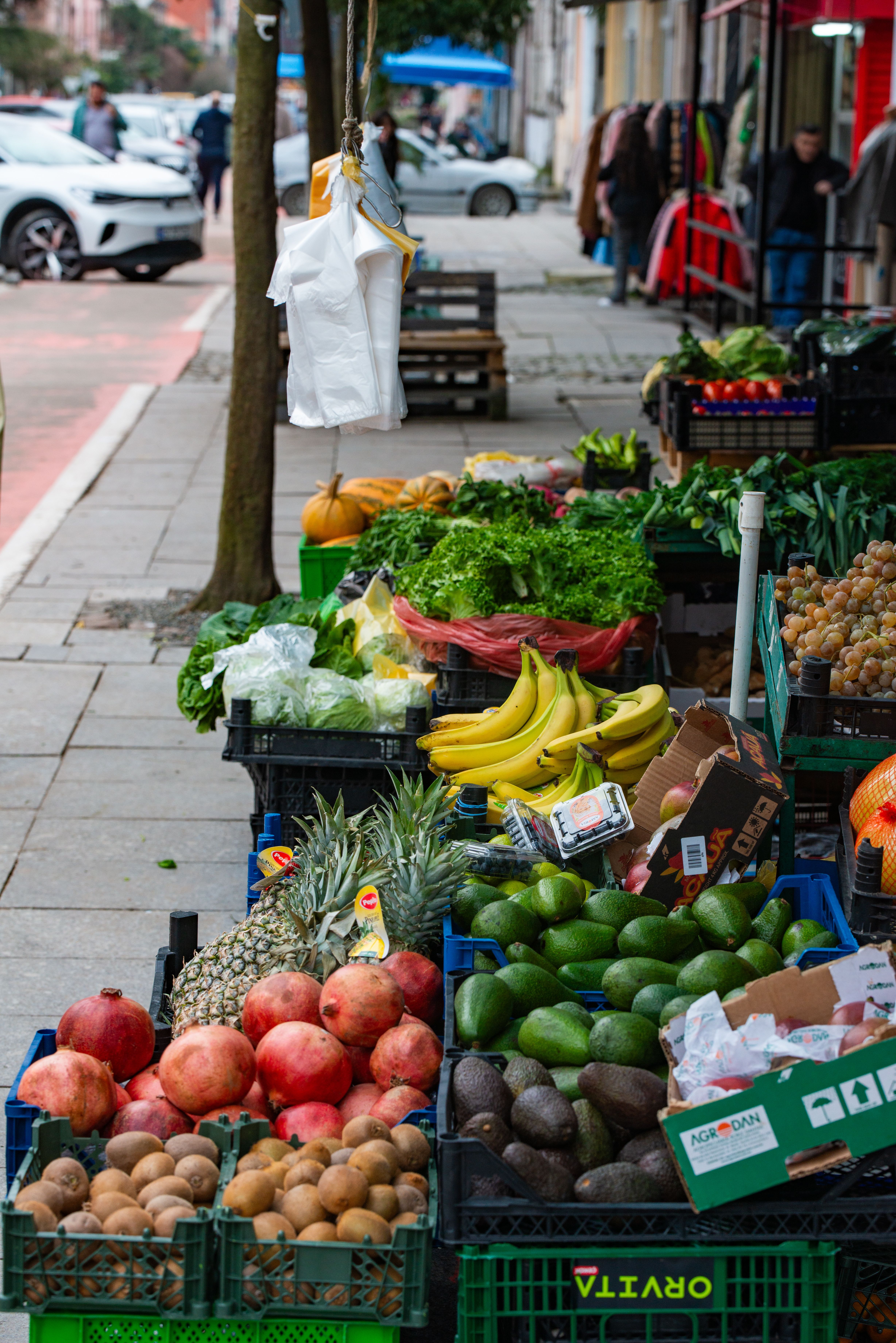 Vibrant Urban Street Market Scene with Fresh Produce · Free Stock Photo