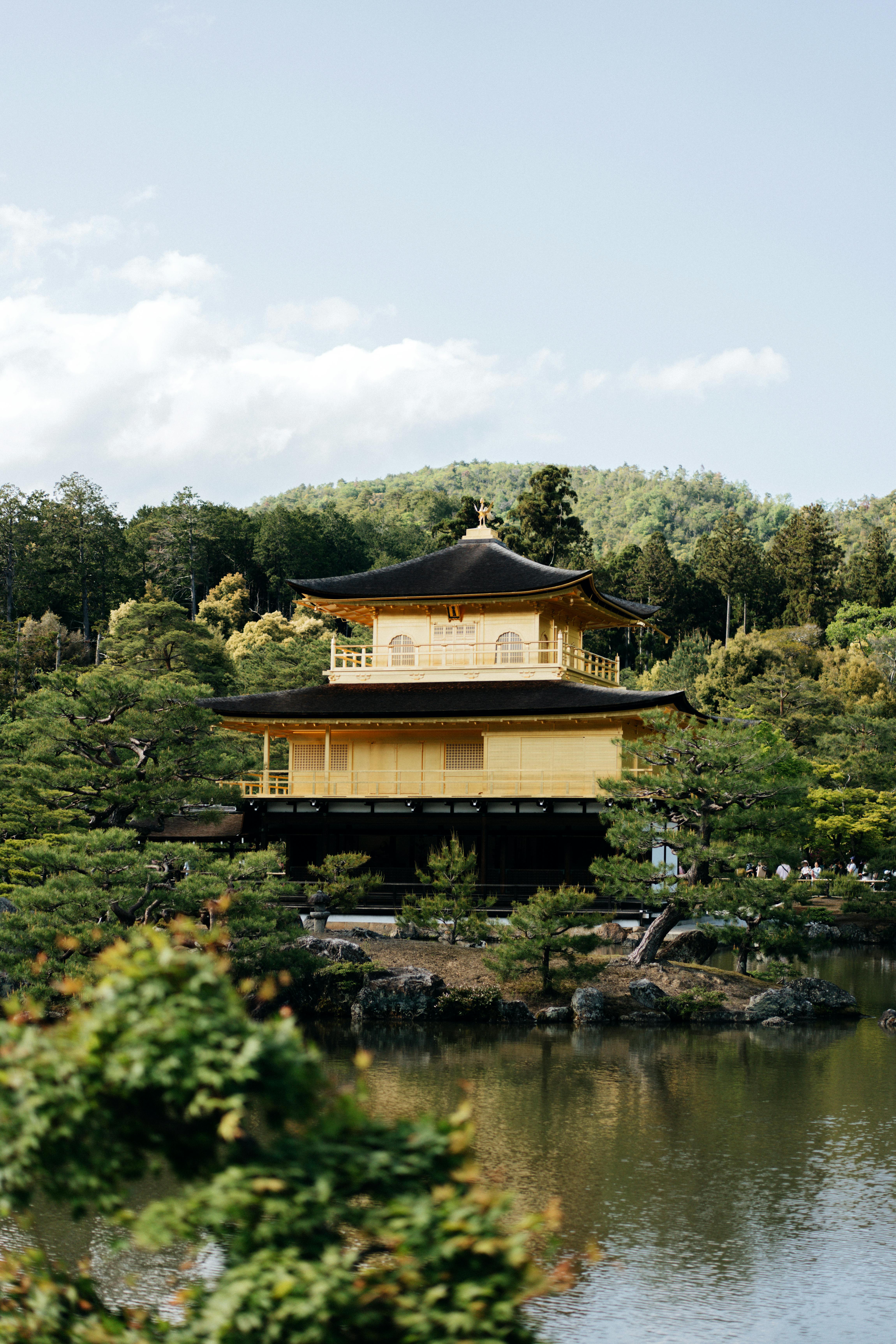 Golden Innova Photos, Download The BEST Free Golden Innova Stock Photos ...