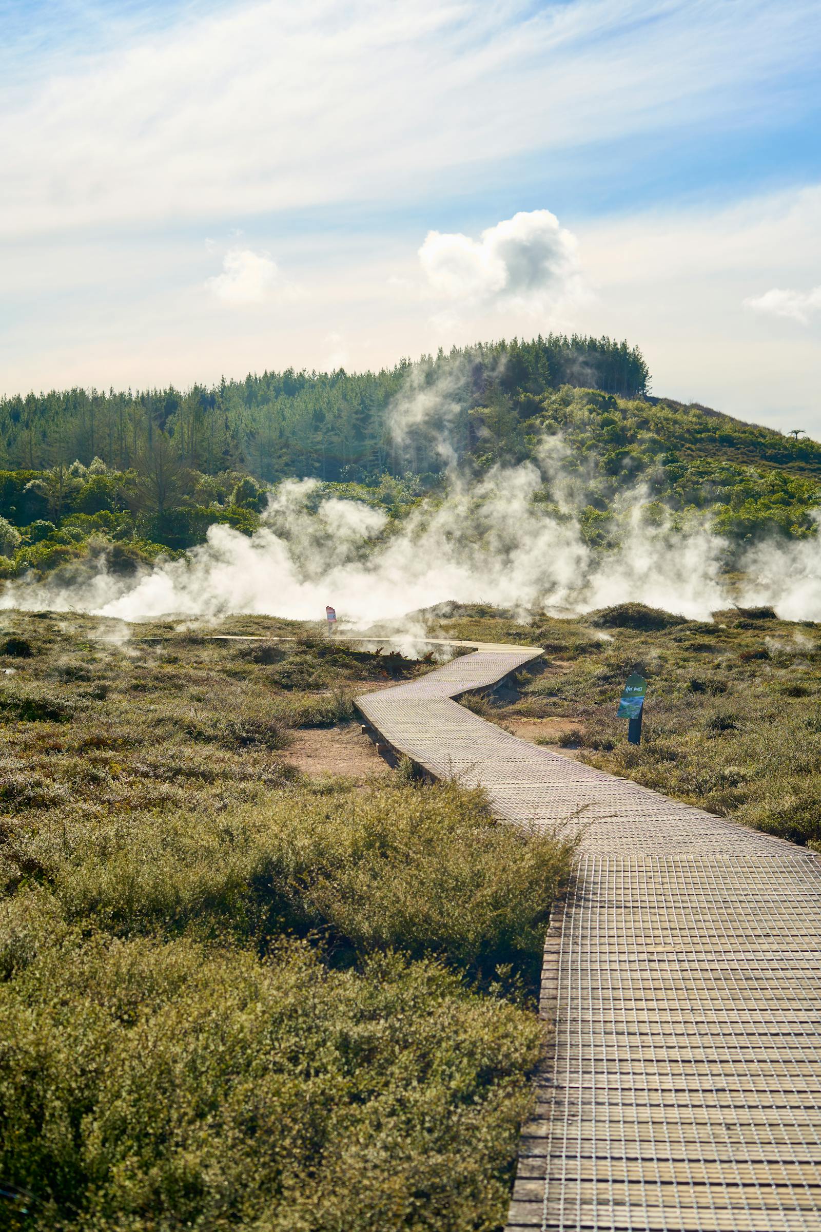 Free Pix Photos, Download The BEST Free Free Pix Stock Photos & HD Images