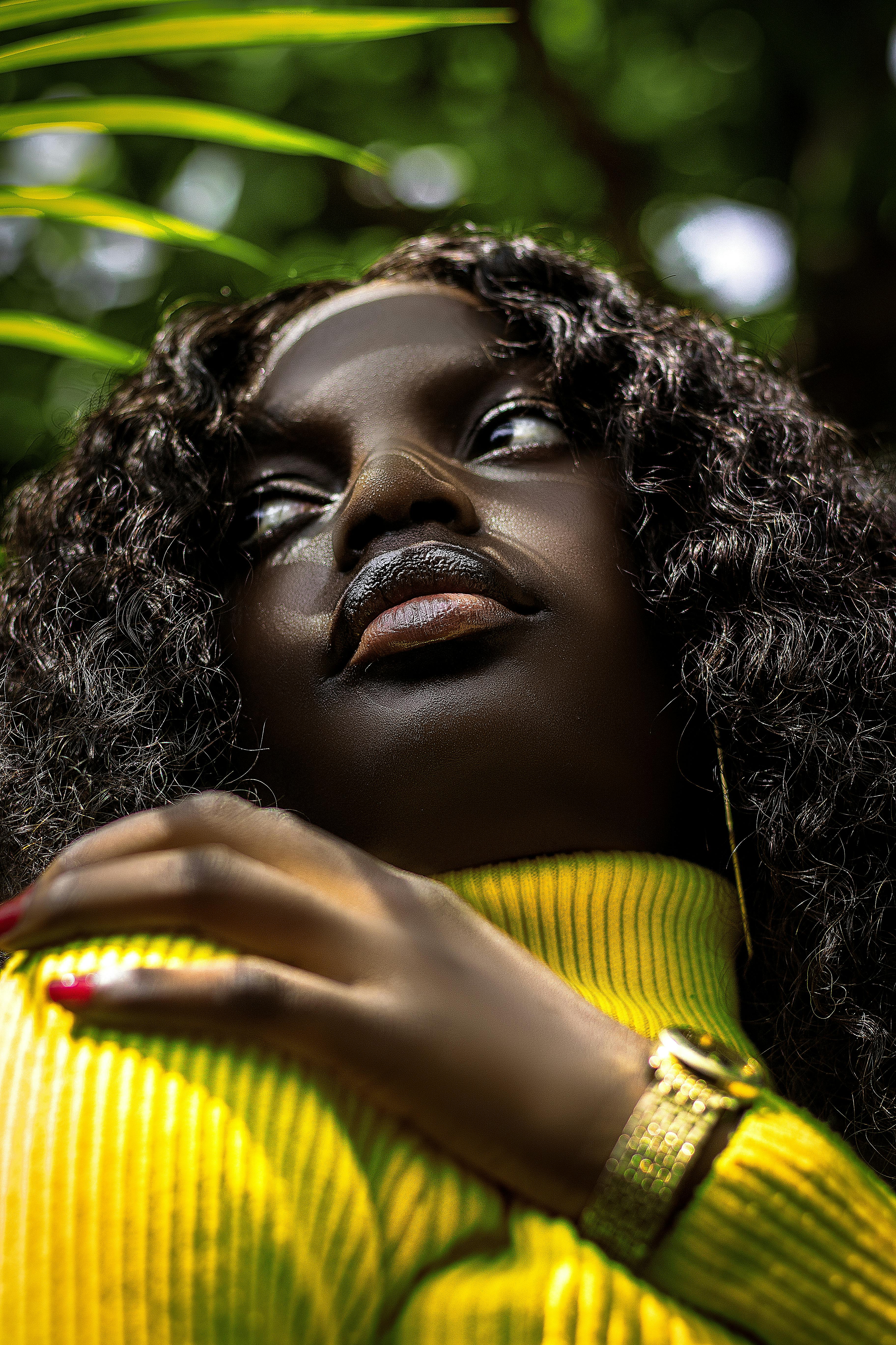 Beautiful Cpus Photos, Download The BEST Free Beautiful Cpus Stock ...