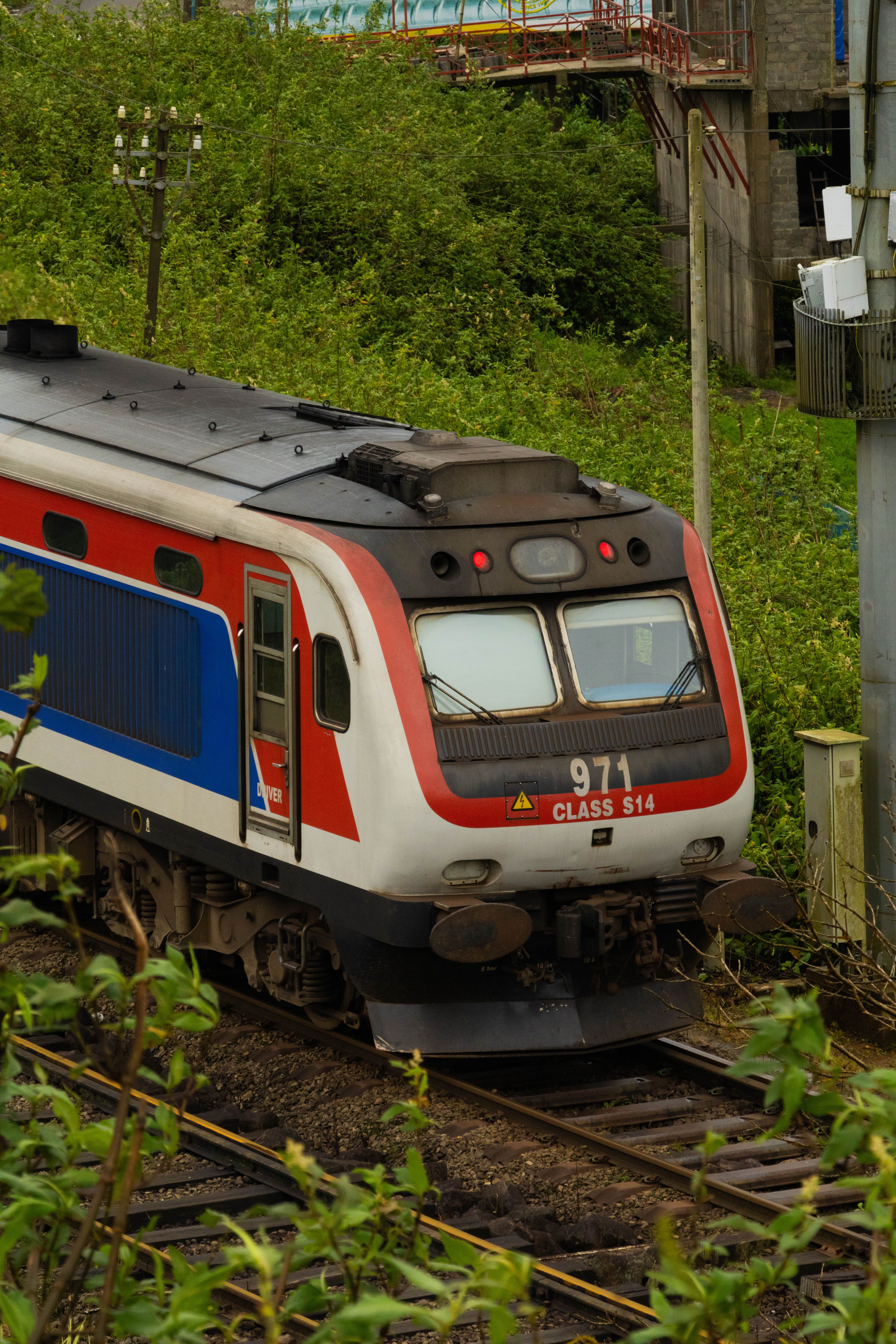 Modern Commuter Train in Lush Green Setting · Free Stock Photo