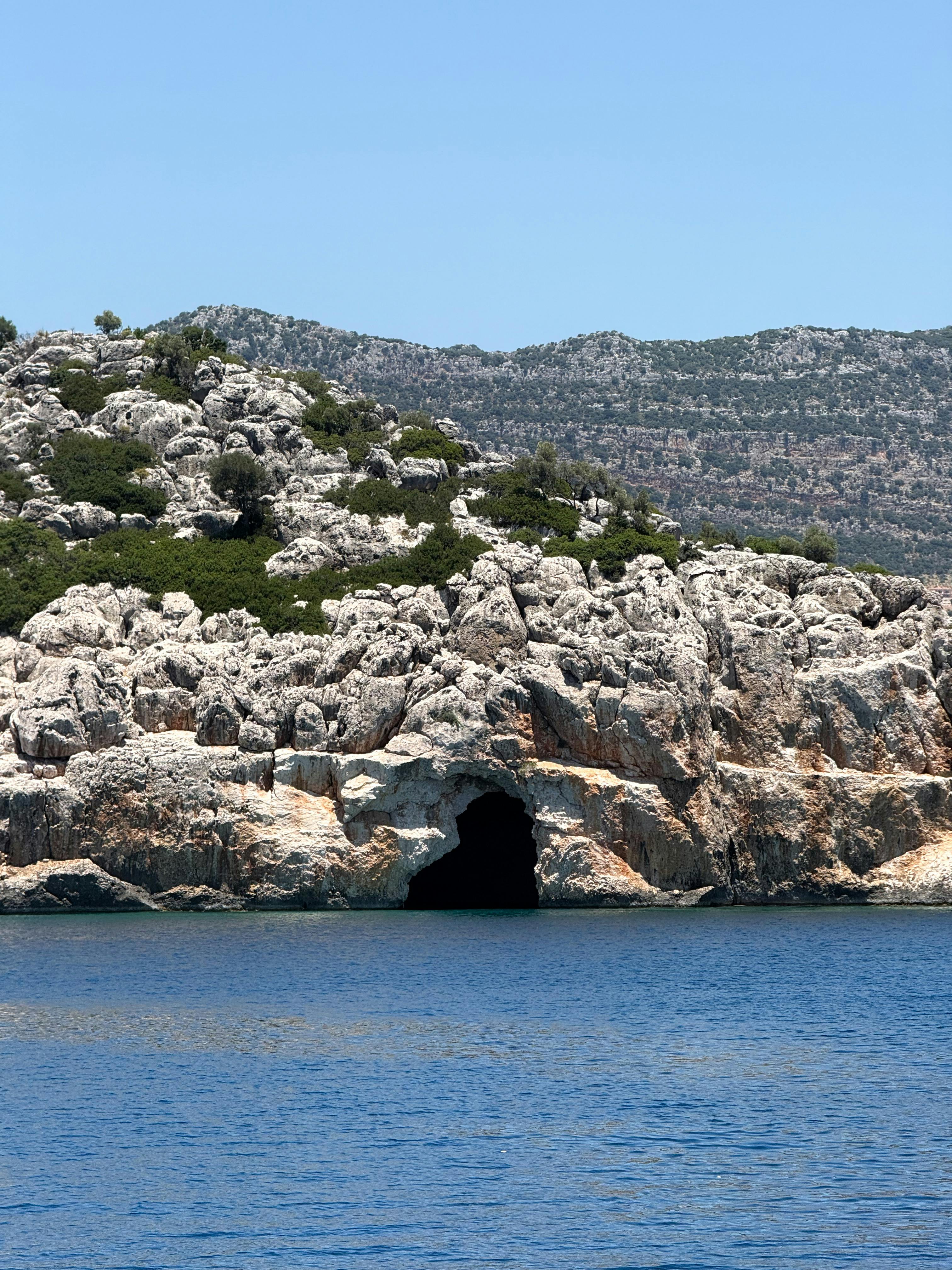 Ant Cave Photos, Download The BEST Free Ant Cave Stock Photos & HD Images