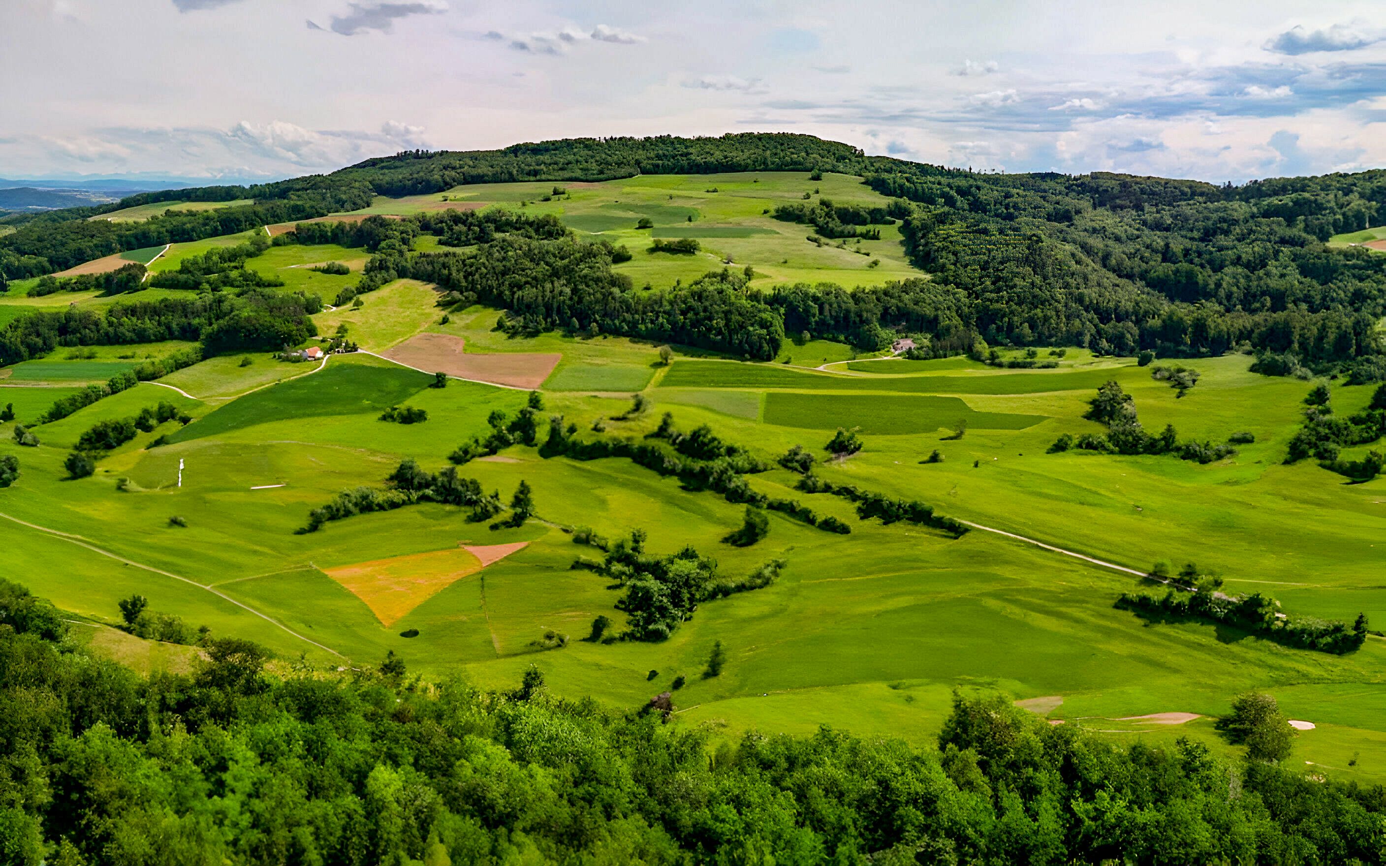 Beautiful Austrian Countryside Landscape in Summer · Free Stock Photo