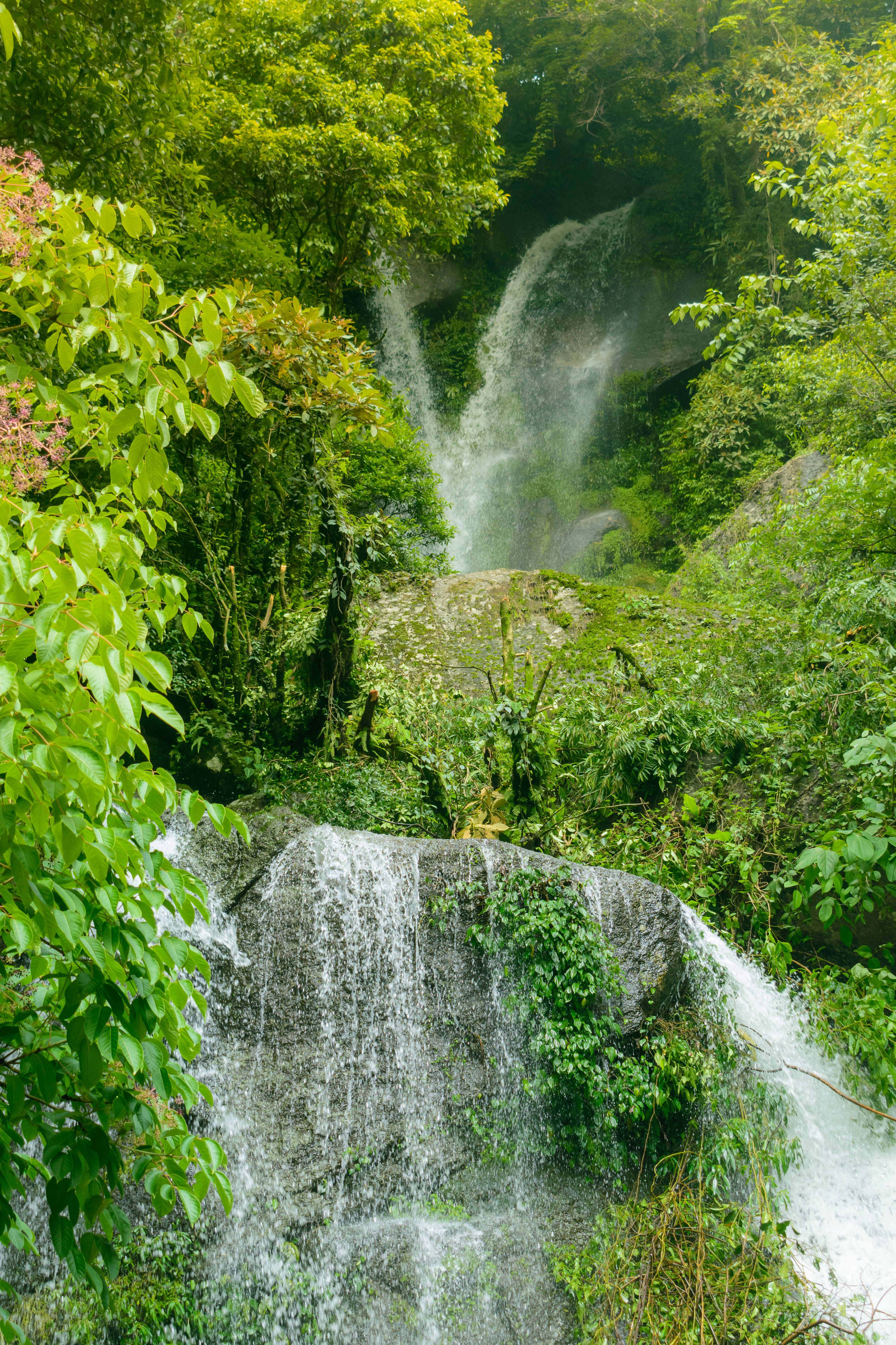 Lush Green Waterfall in Nepali Forest · Free Stock Photo