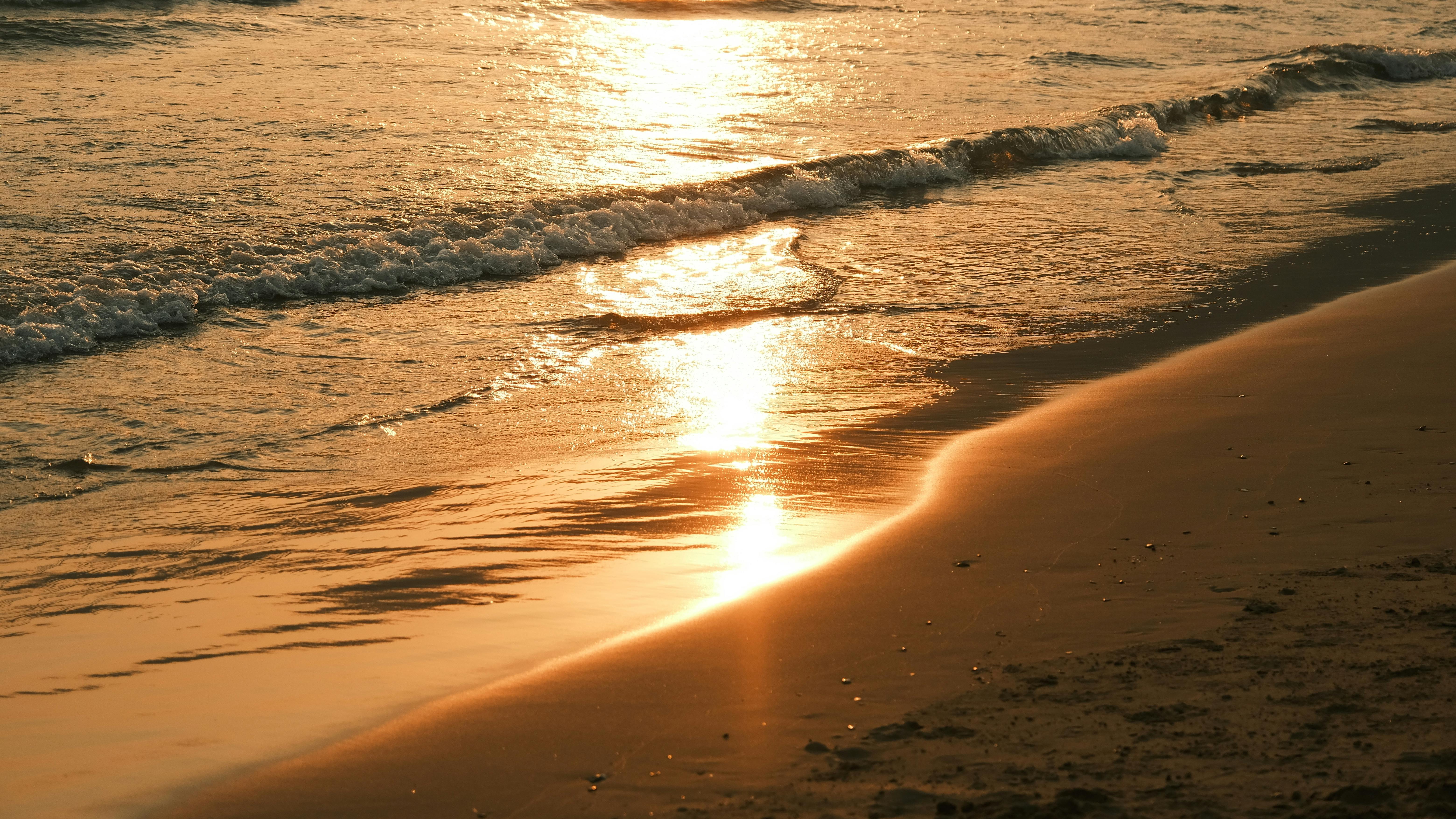 Golden Sunset Reflections on Sandy Beach · Free Stock Photo