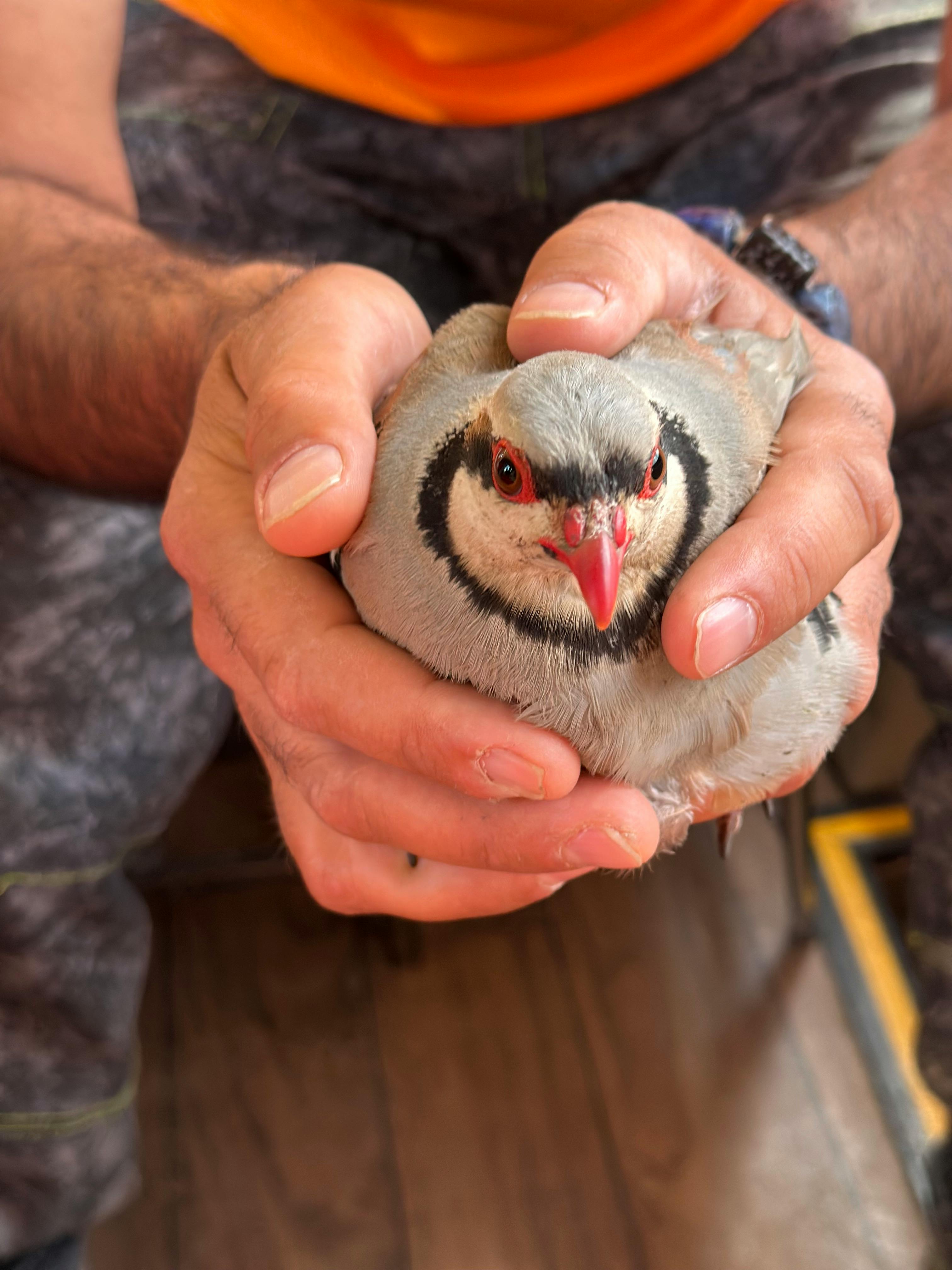 Delica Van Umbau Photos, Download The BEST Free Delica Van Umbau Stock ...