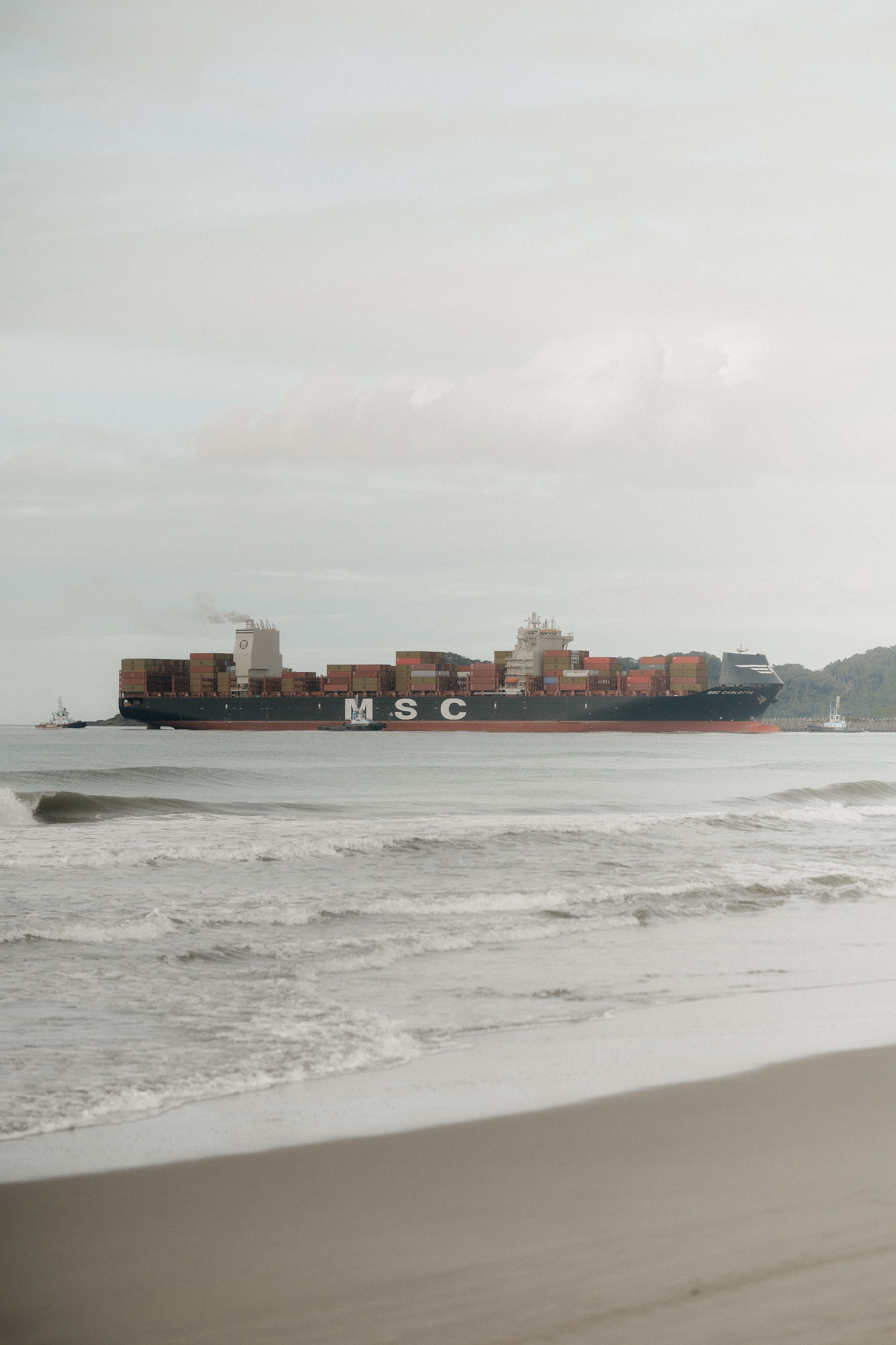 Container Ship Msc Photos, Download The BEST Free Container Ship Msc ...