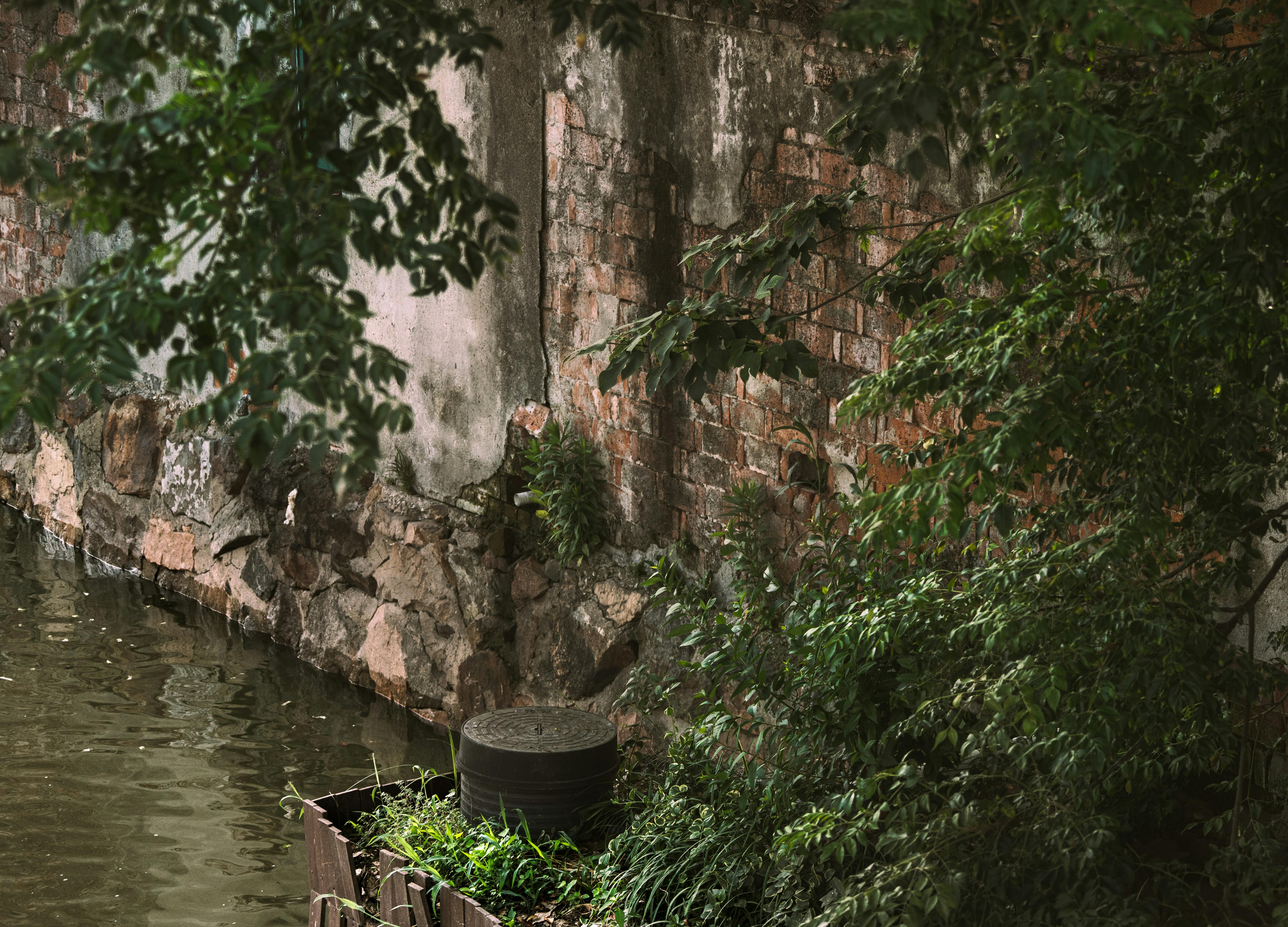 Muro De Ladrillo Rústico Junto A Tranquil Canal · Foto de stock gratuita