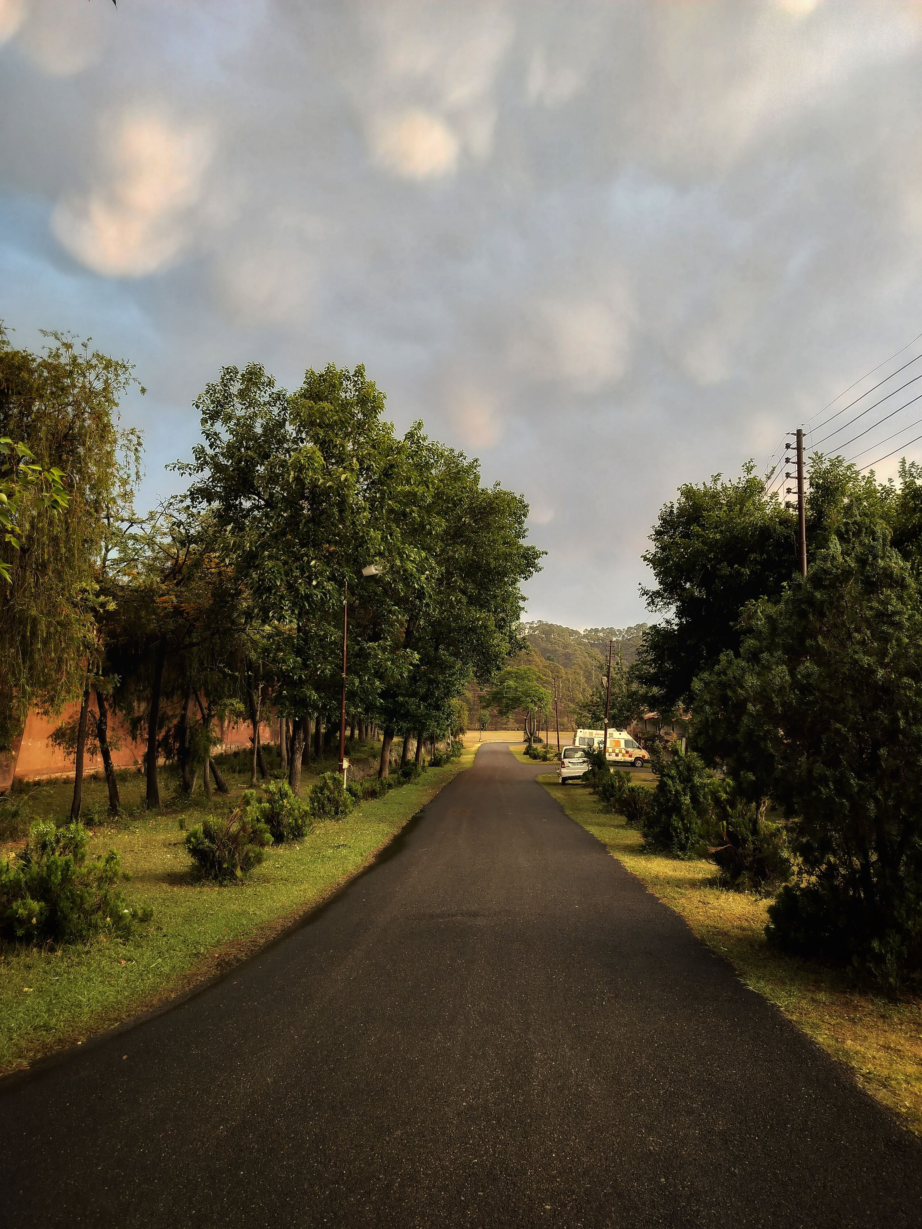 Peaceful Tree-Lined Road Under Cloudy Sky · Free Stock Photo
