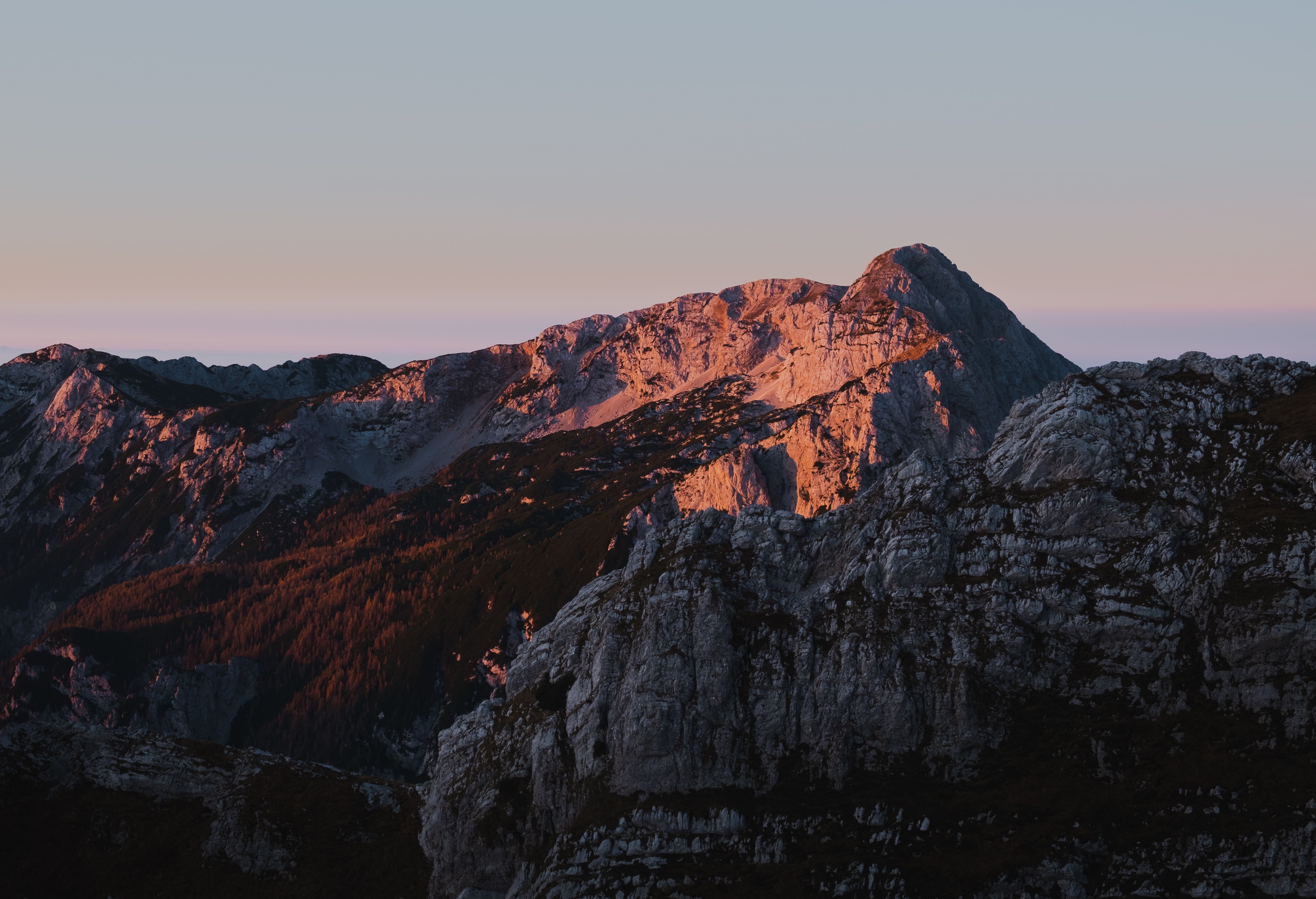 Foto de stock gratuita de Rok Romih · Pexels