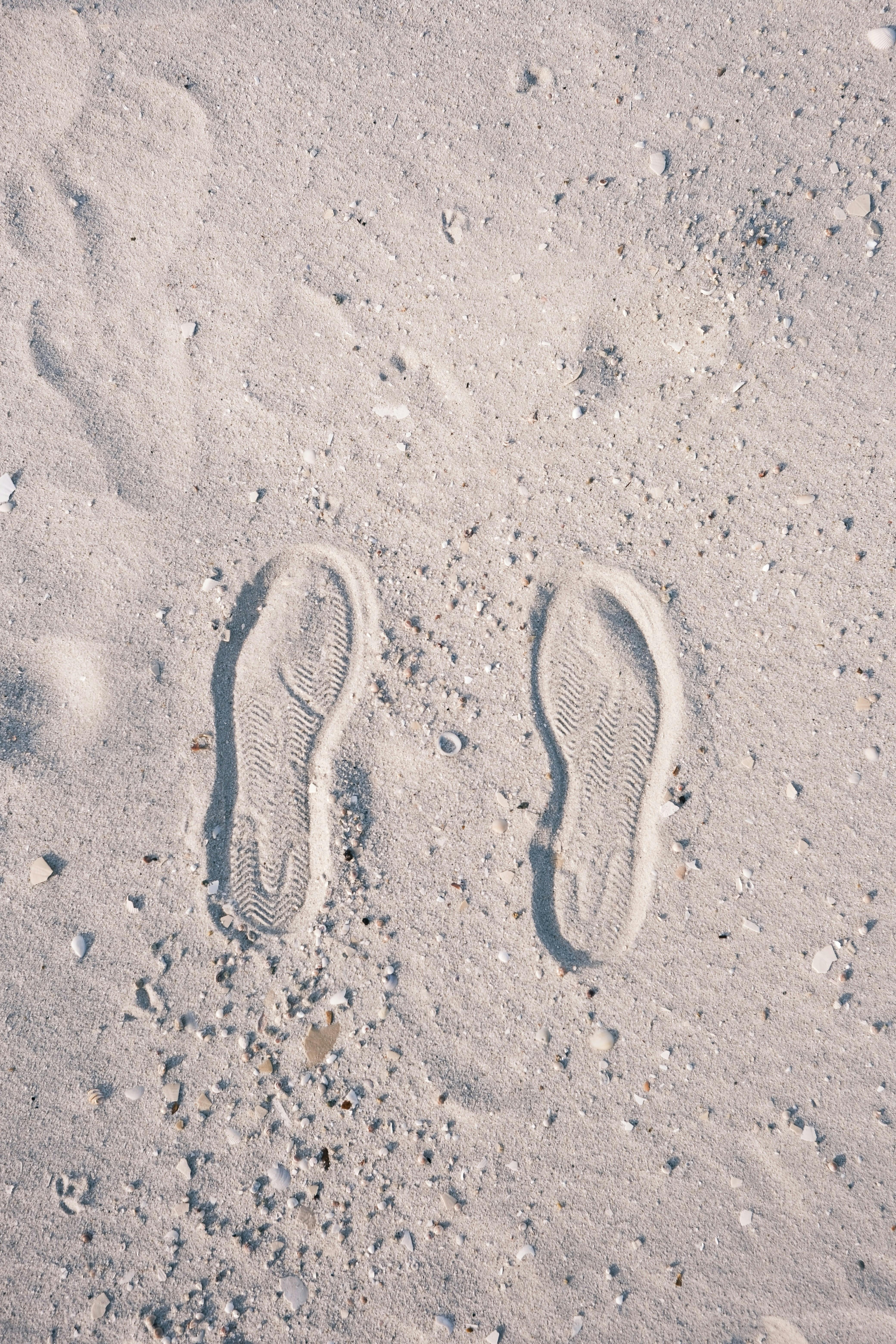 Beach Sand Footsteps Imprint on Coastal Shore · Free Stock Photo