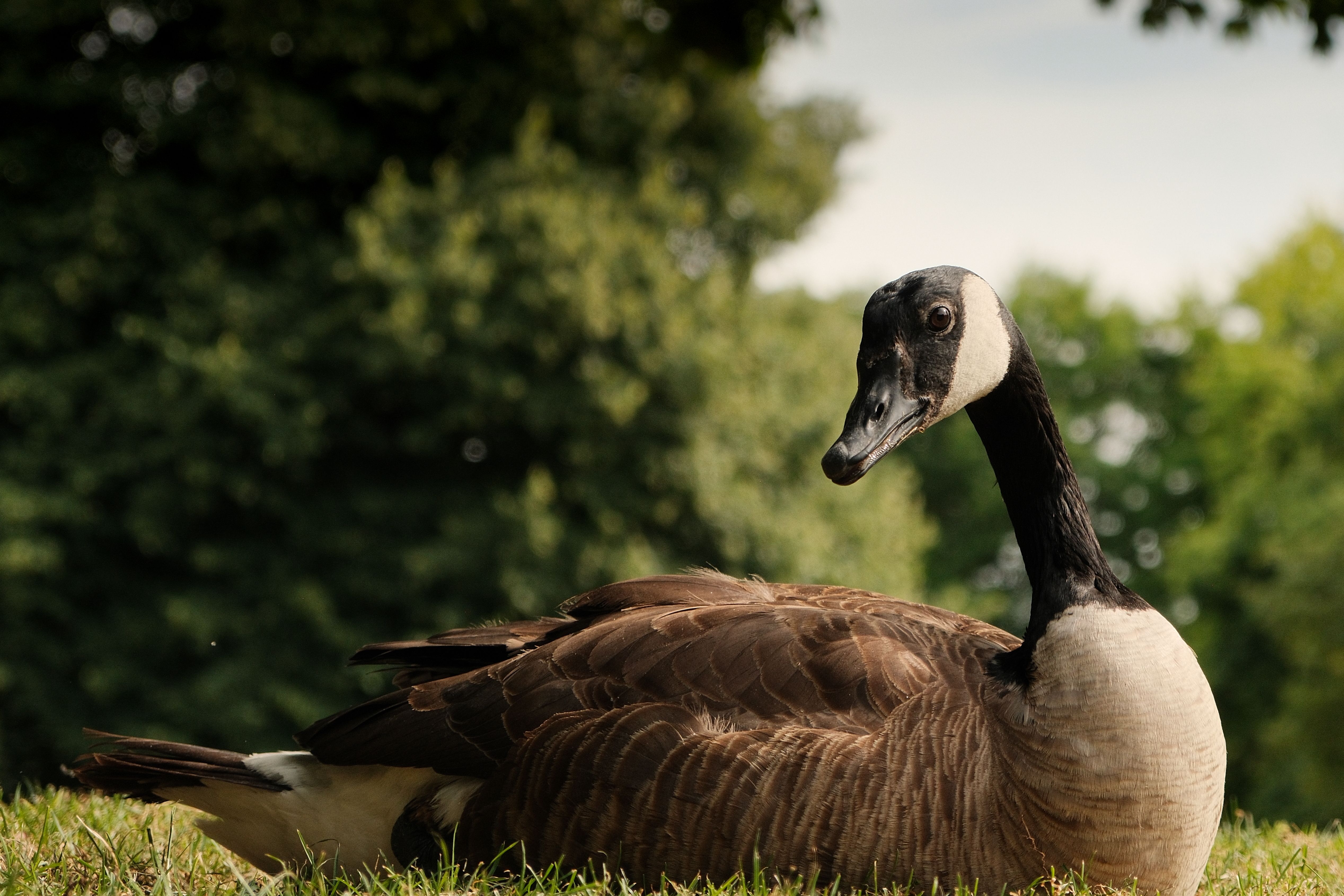 Ethics+Images Photos, Download The BEST Free Ethics+Images Stock Photos ...