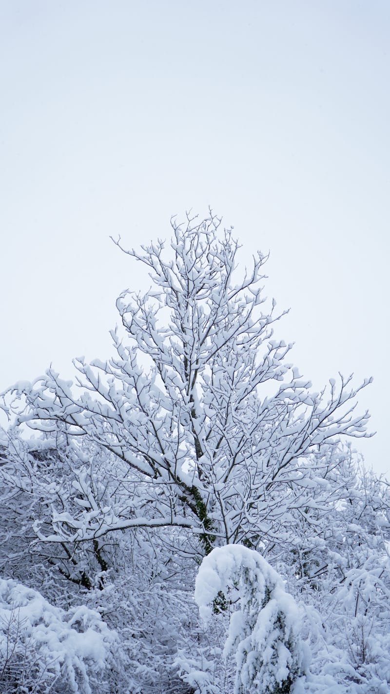 Cold Landscape Photos, Download The BEST Free Cold Landscape Stock ...