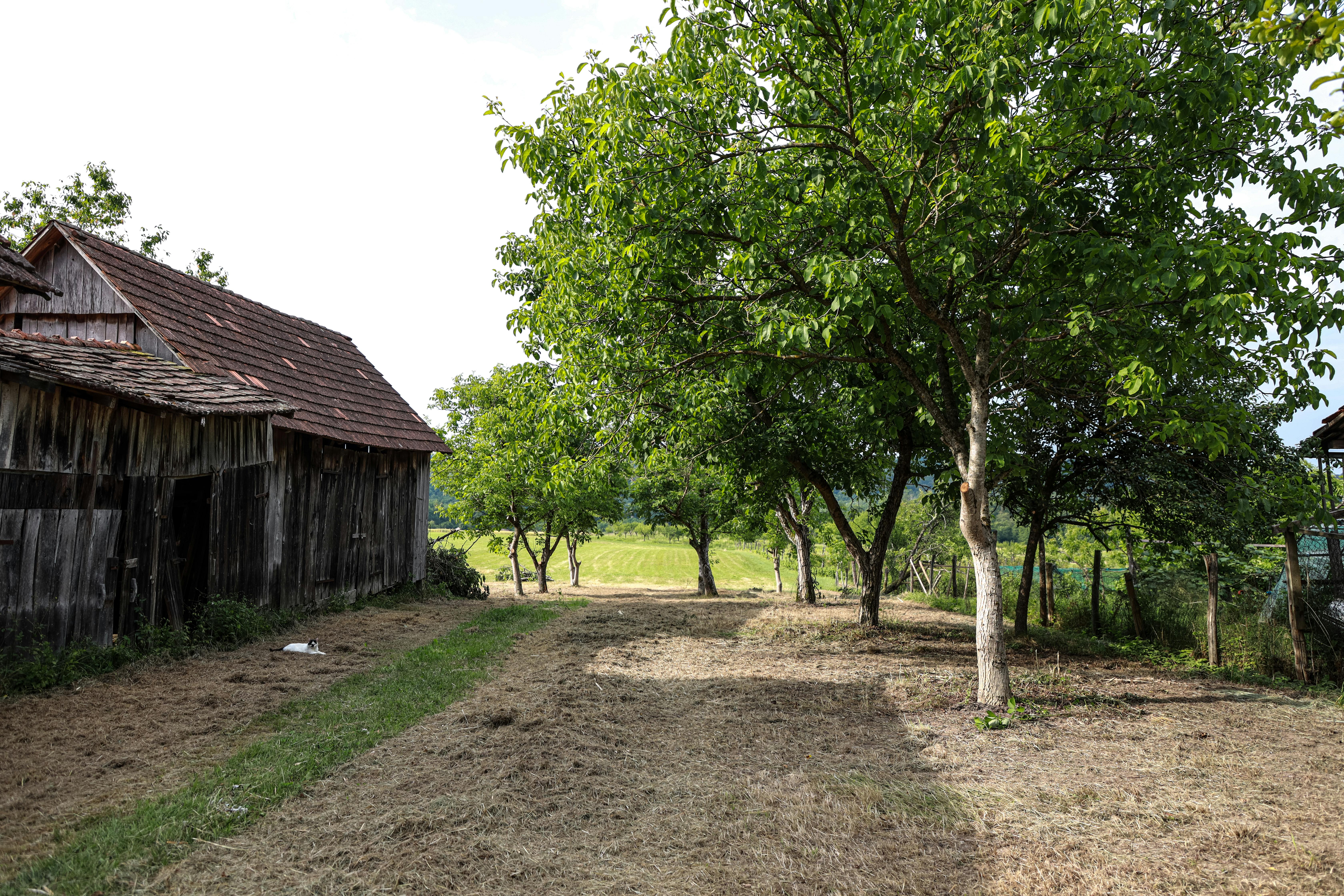 Land And Farm Photos, Download The BEST Free Land And Farm Stock Photos ...