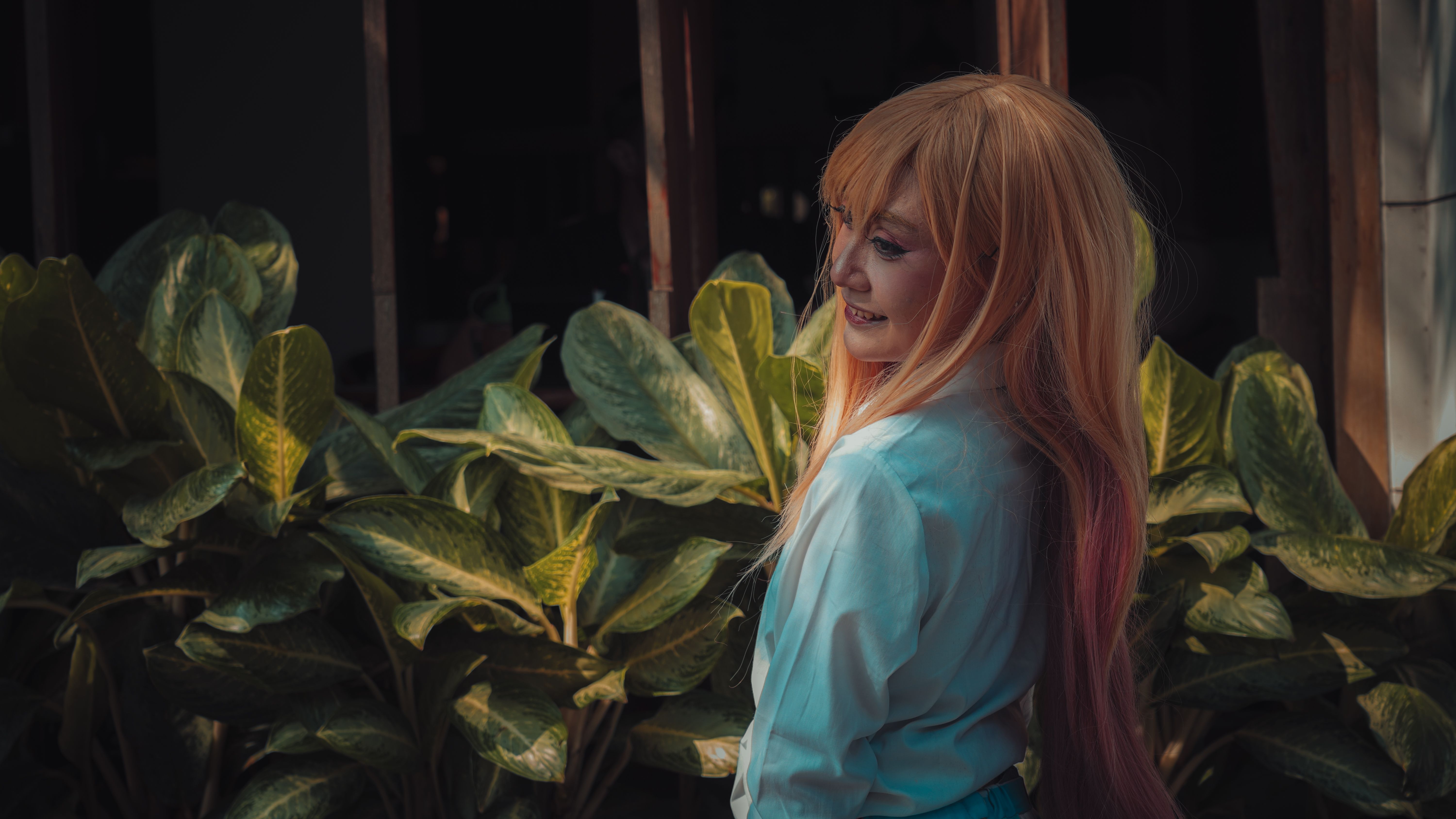 Anime Leaves Photos, Download The BEST Free Anime Leaves Stock Photos ...