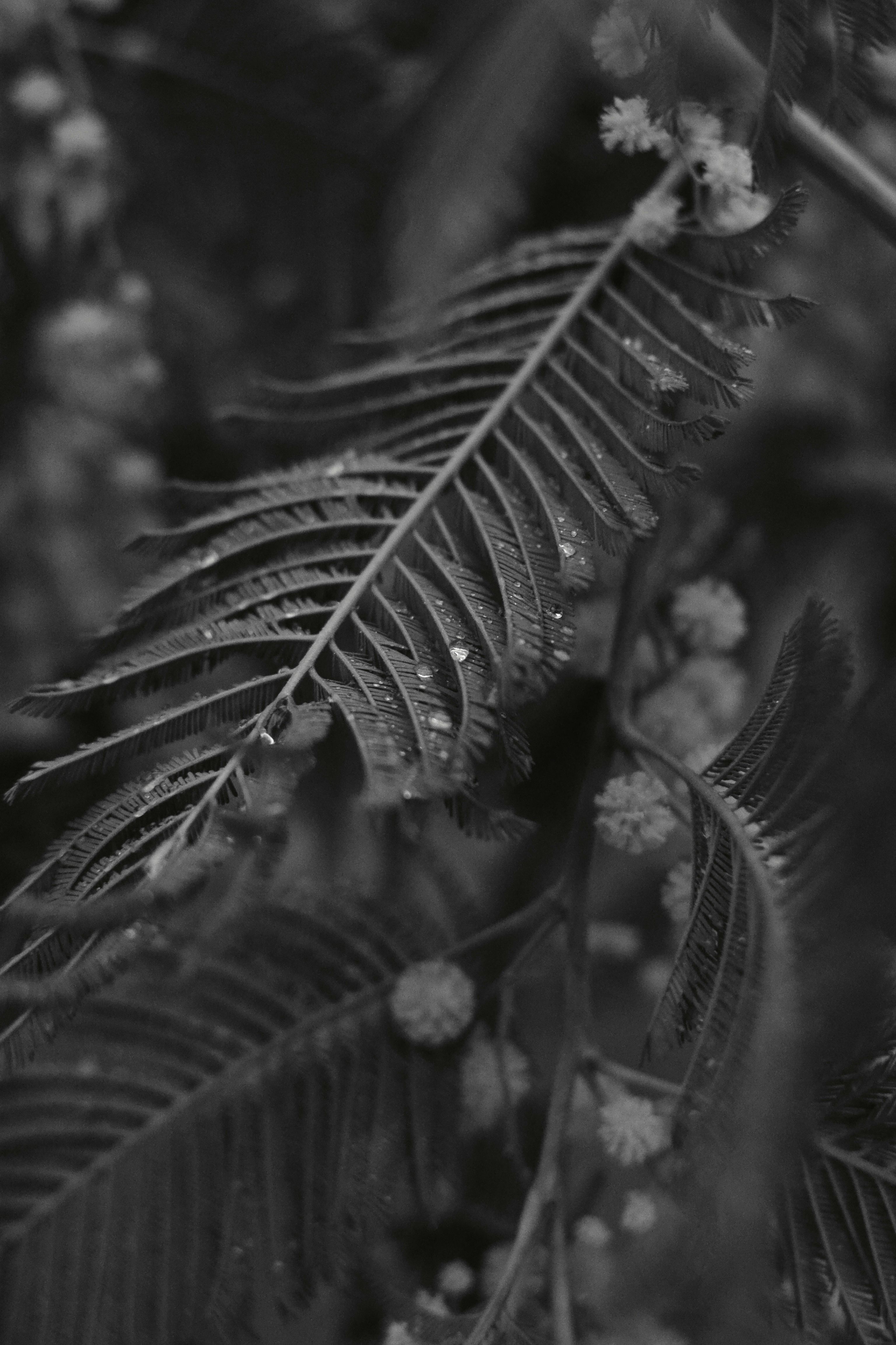 Wallpaper+And+Wallpaper Photos, Download The BEST Free Wallpaper+And ...