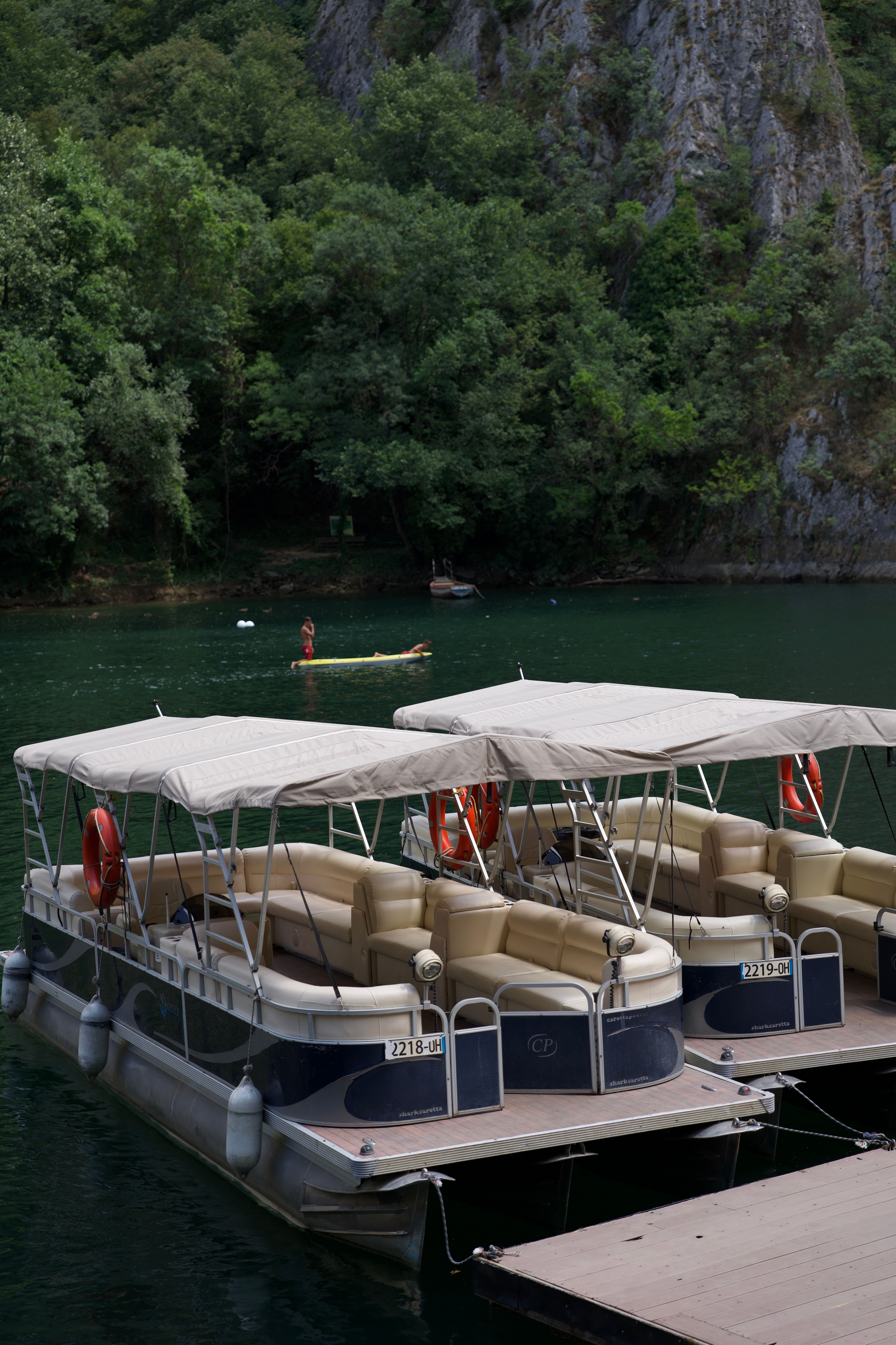 Pontoon Boats on Serene Lake Surrounded by Forest · Free Stock Photo