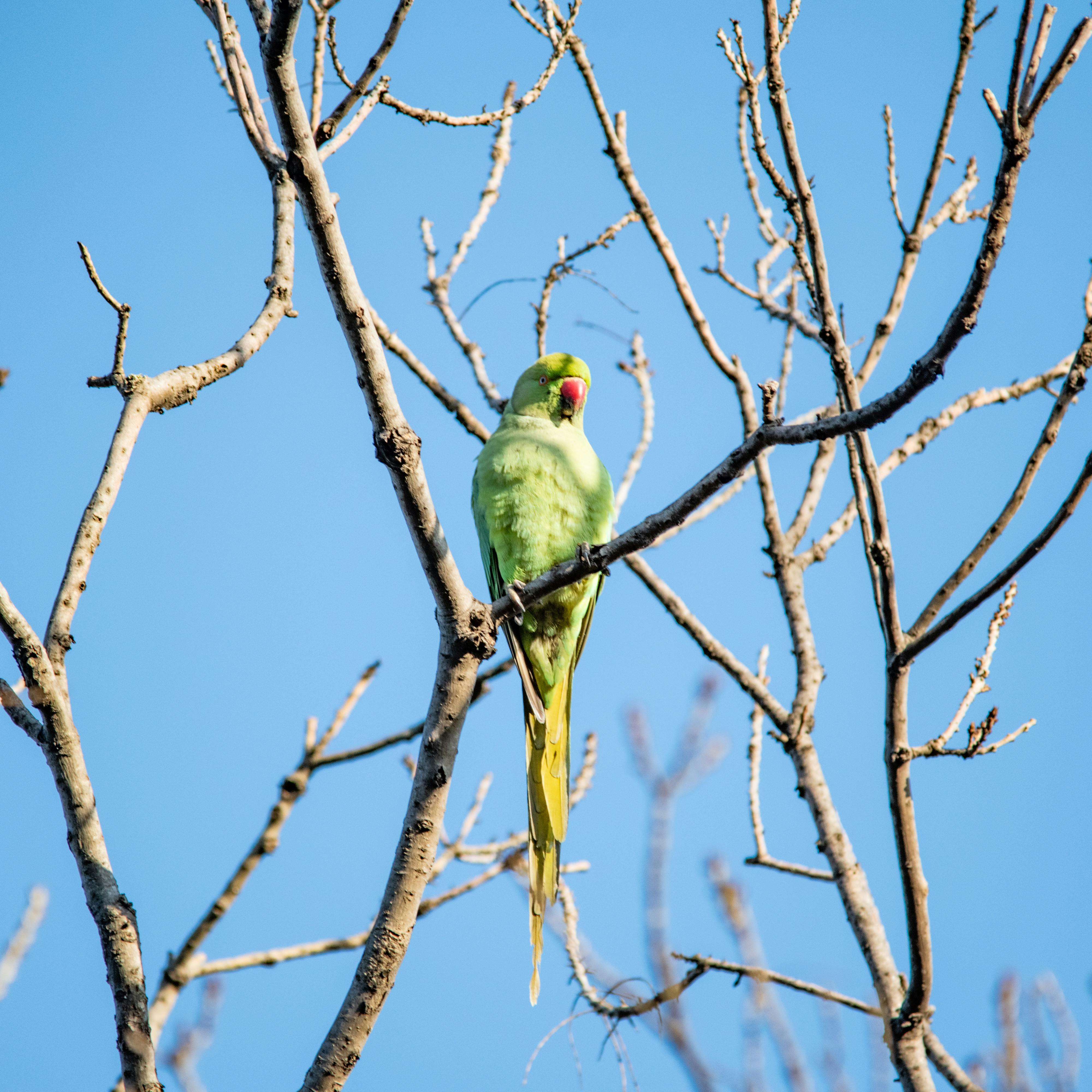 21.386+ Fotos y Imágenes de Kelly+apraez+desnuda Gratis · Banco de ...