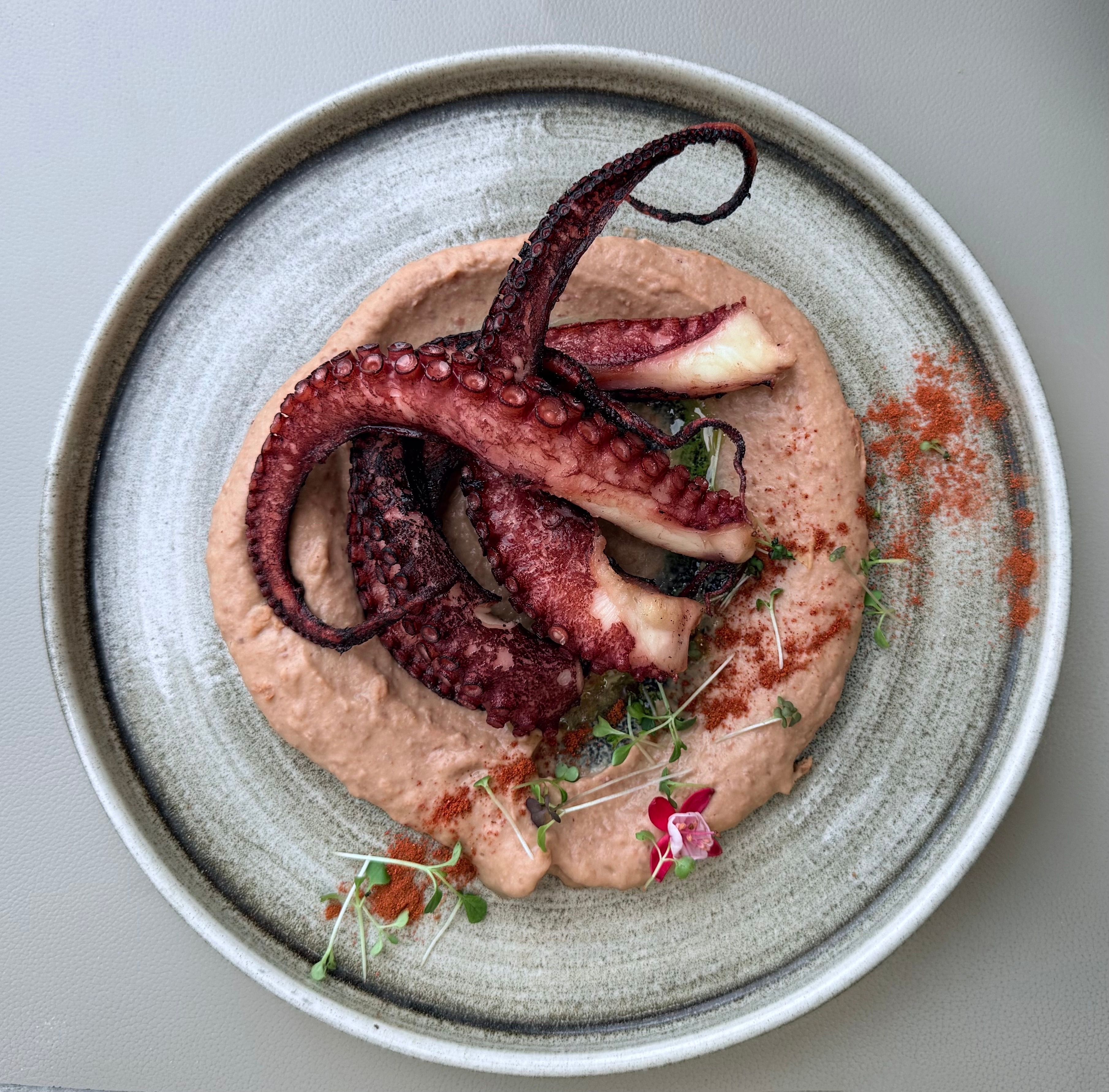 Gourmet Grilled Octopus Dish with Hummus · Free Stock Photo