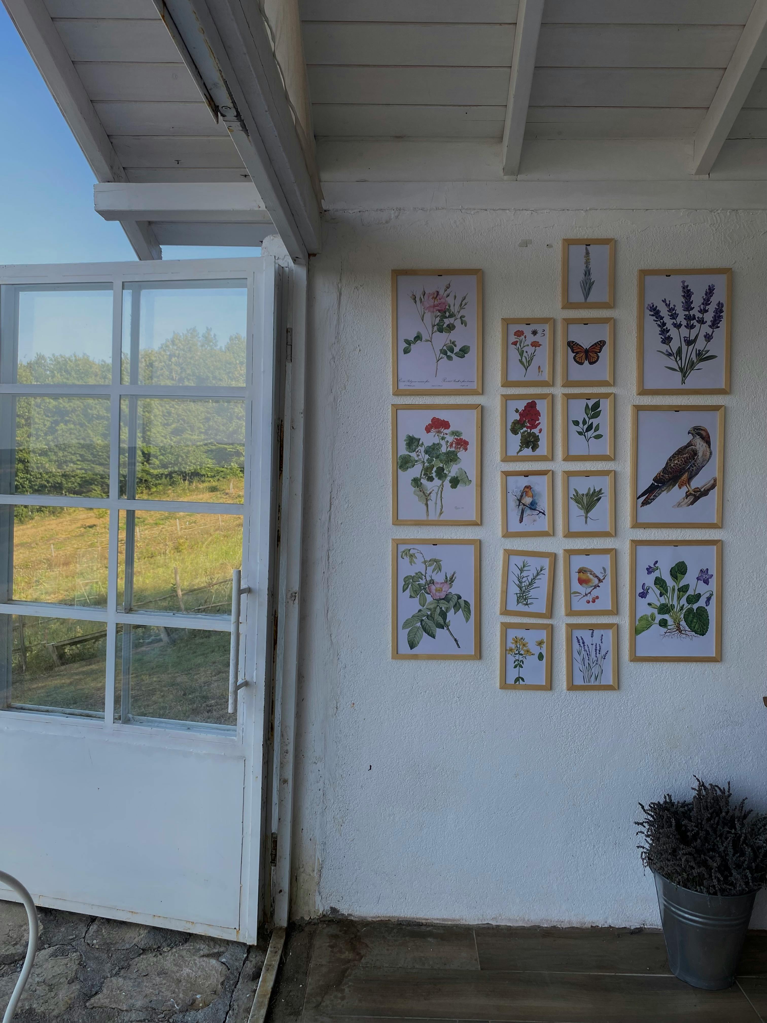 Window Pictures Photos, Download The BEST Free Window Pictures Stock ...