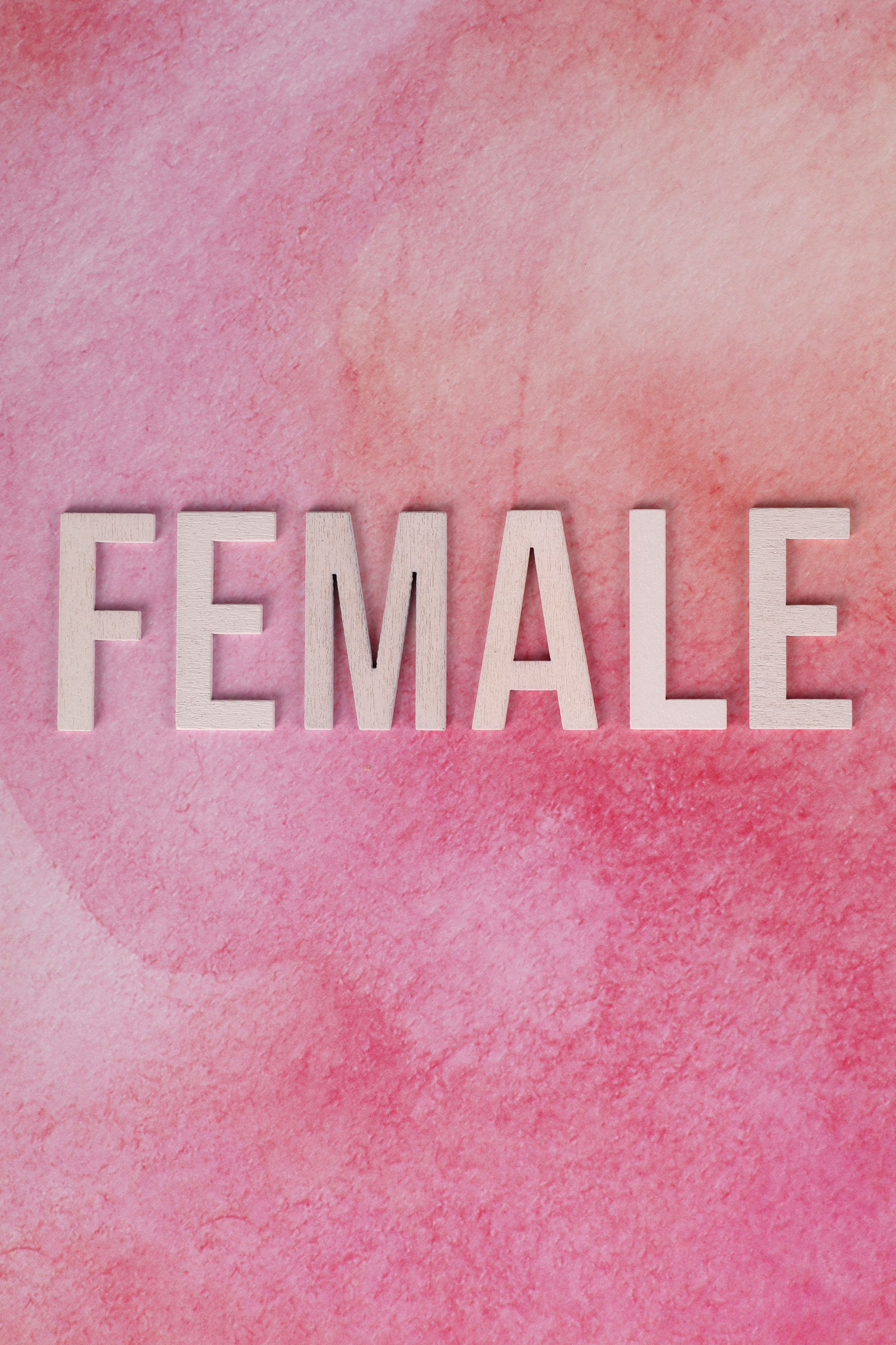 Pink Gradient Background with 'Female' Text · Free Stock Photo