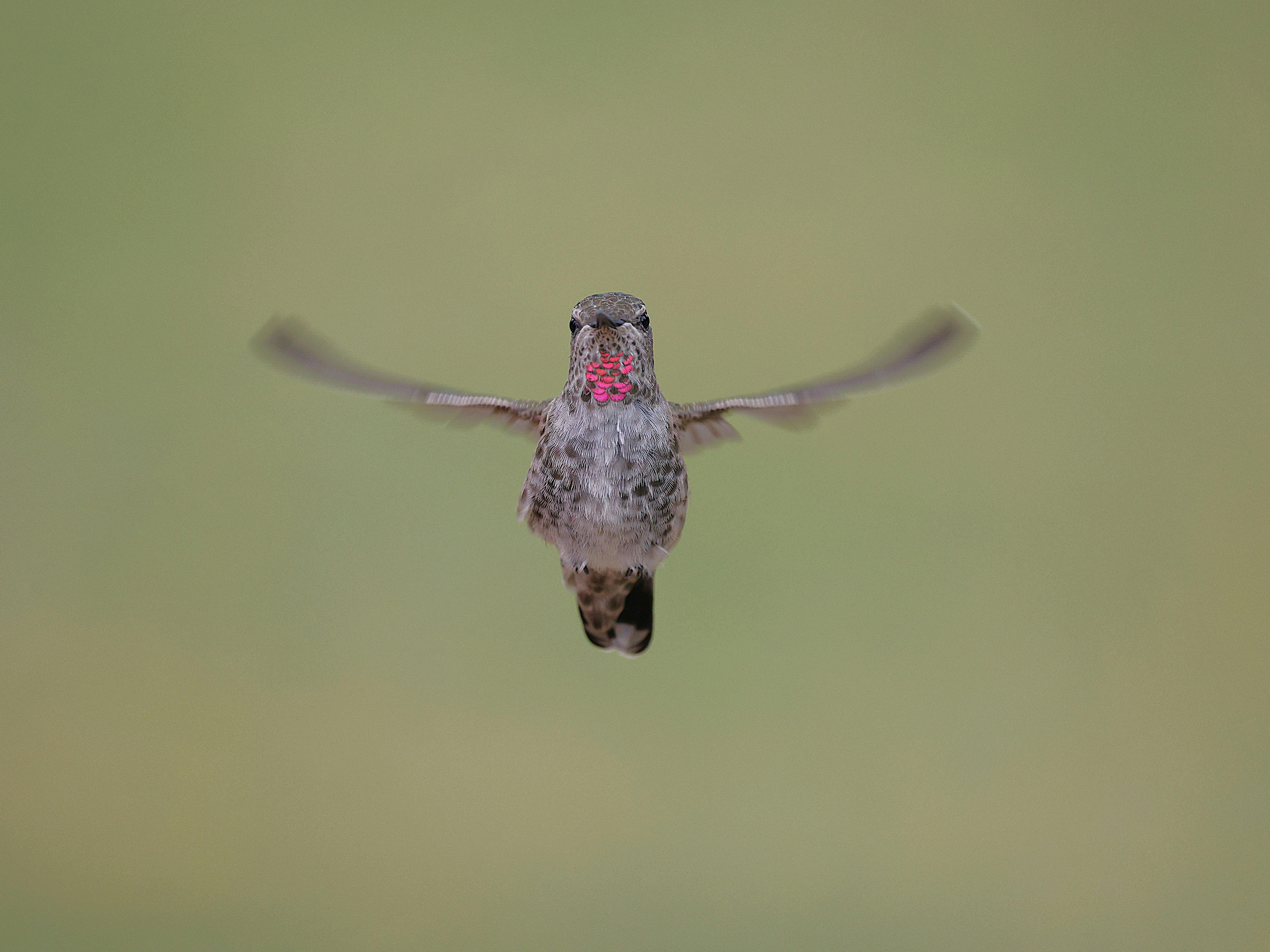 Small Size Photos, Download The BEST Free Small Size Stock Photos & HD ...