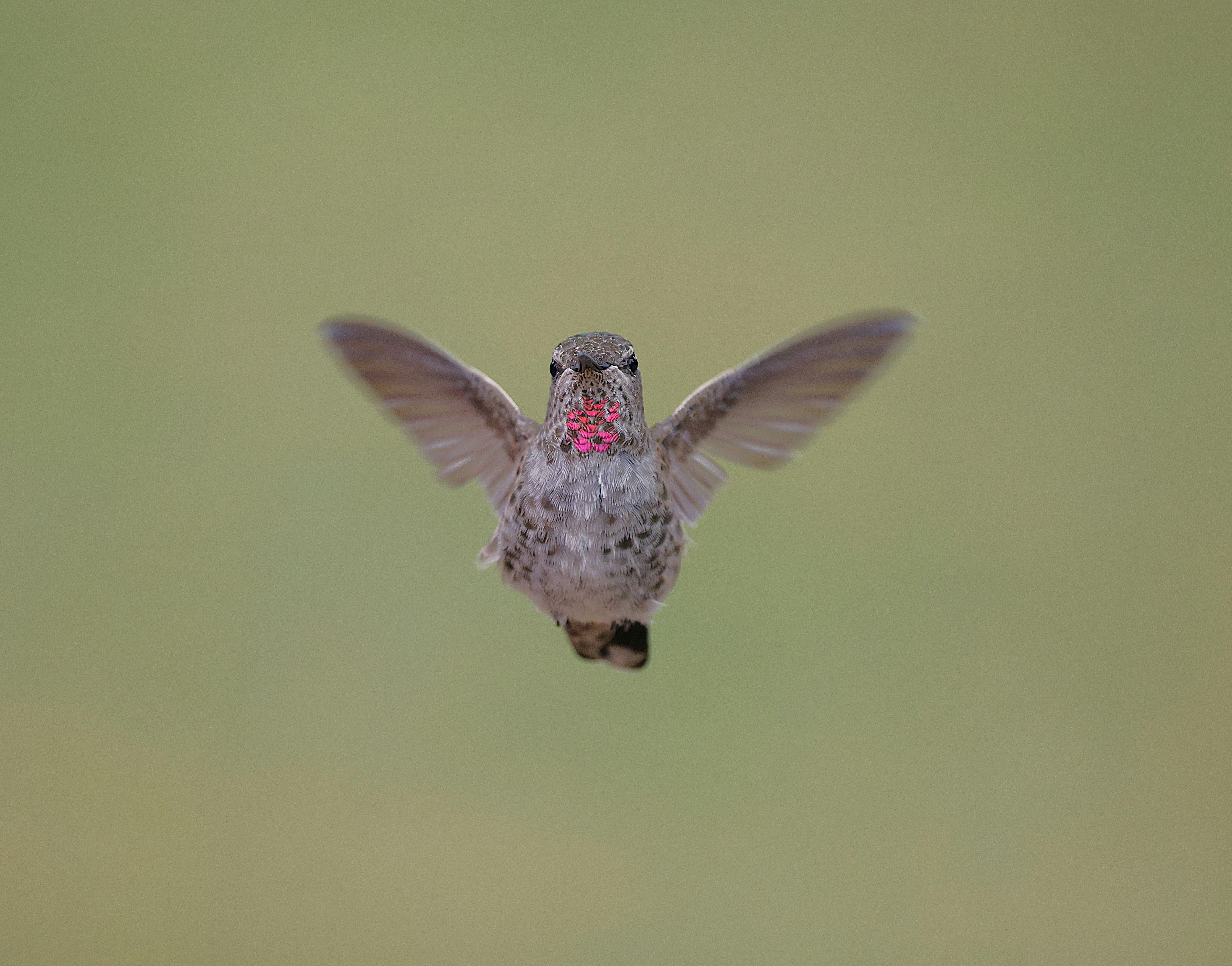 Swift Truck Photos, Download The BEST Free Swift Truck Stock Photos ...