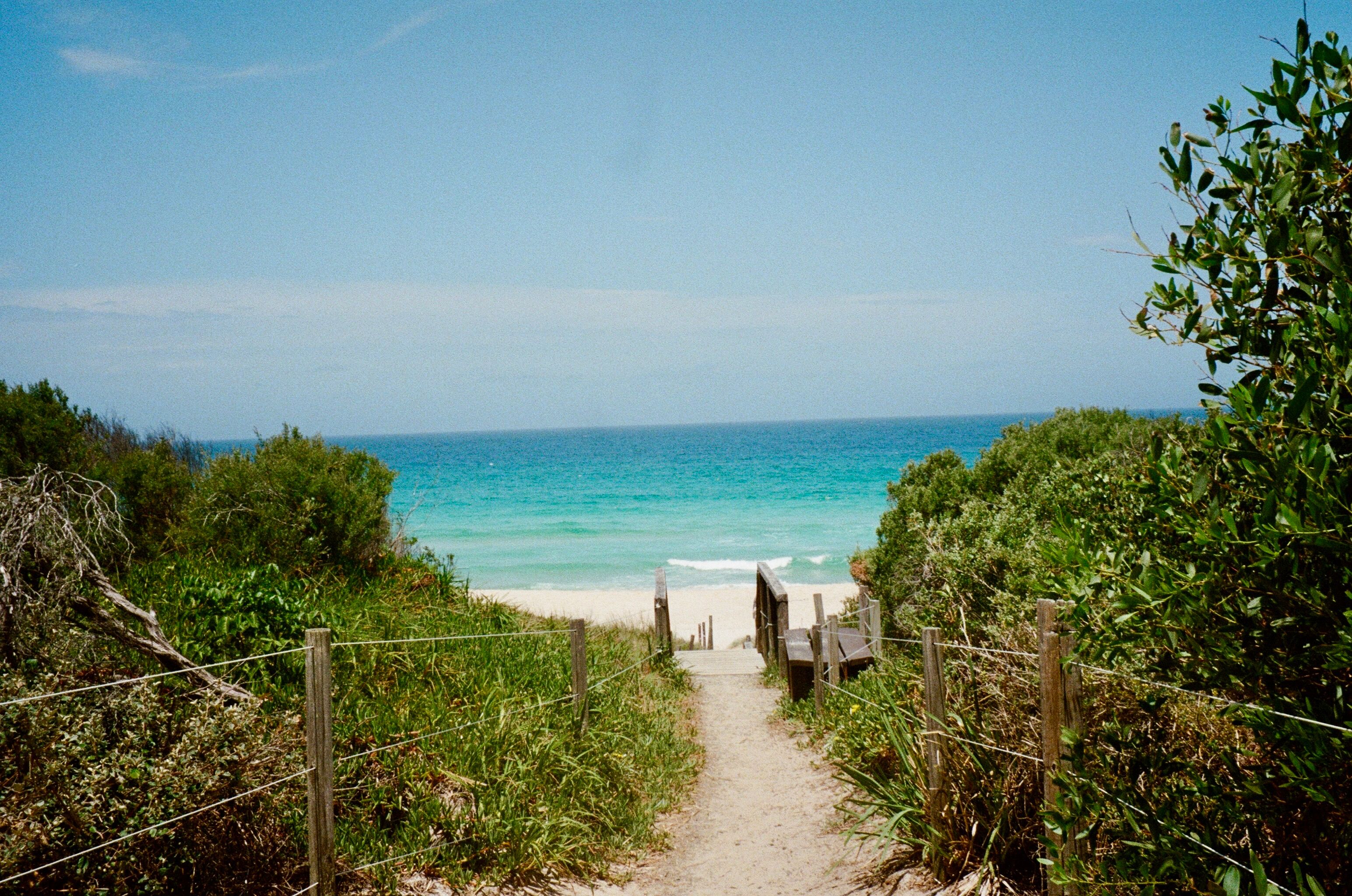 Pathway to Blueys Beach in NSW, Australia · Free Stock Photo