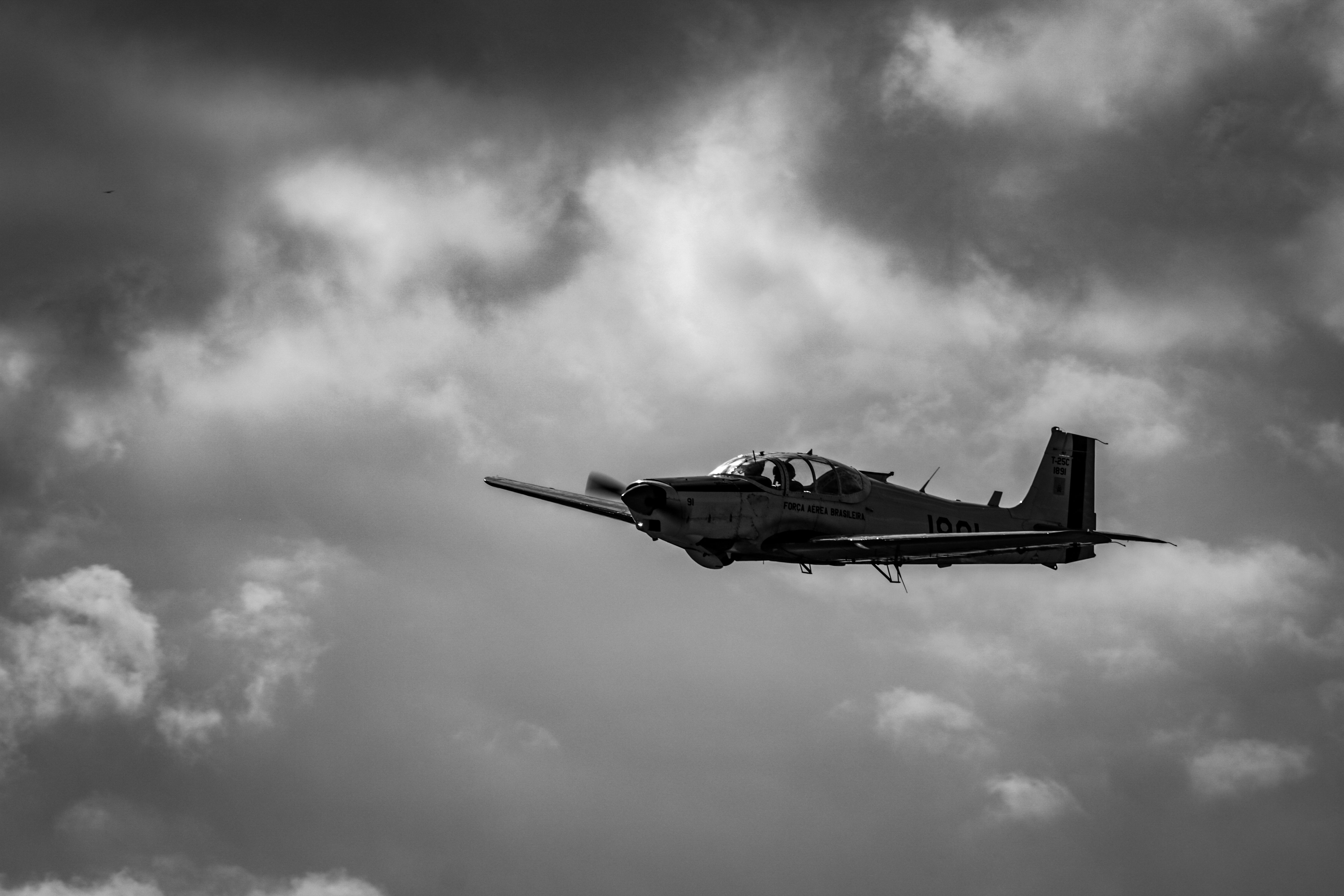 Dramatic Black and White Airplane Flight · Free Stock Photo