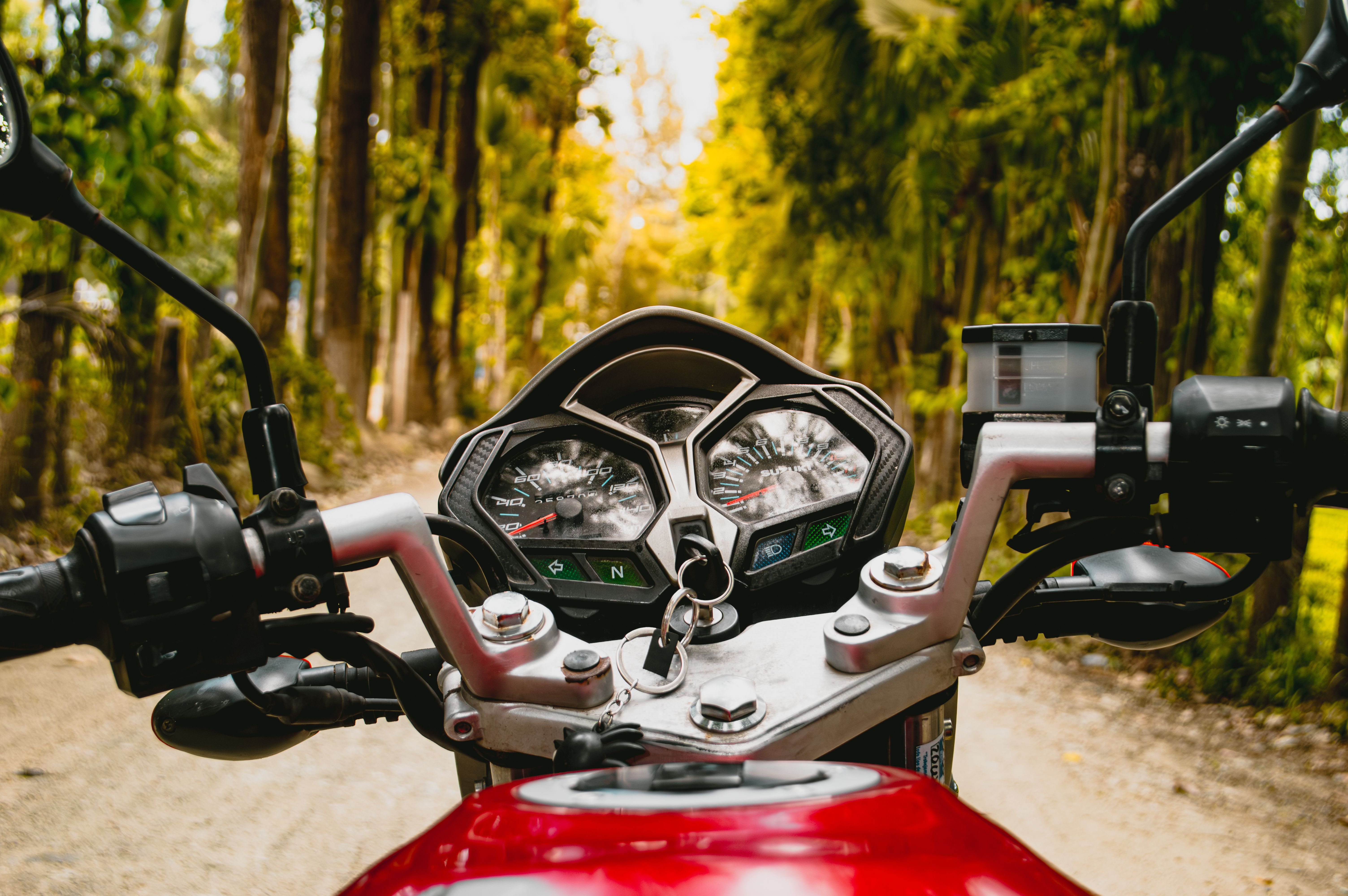 Motorcycle Ride Through Scenic Forest Path · Free Stock Photo