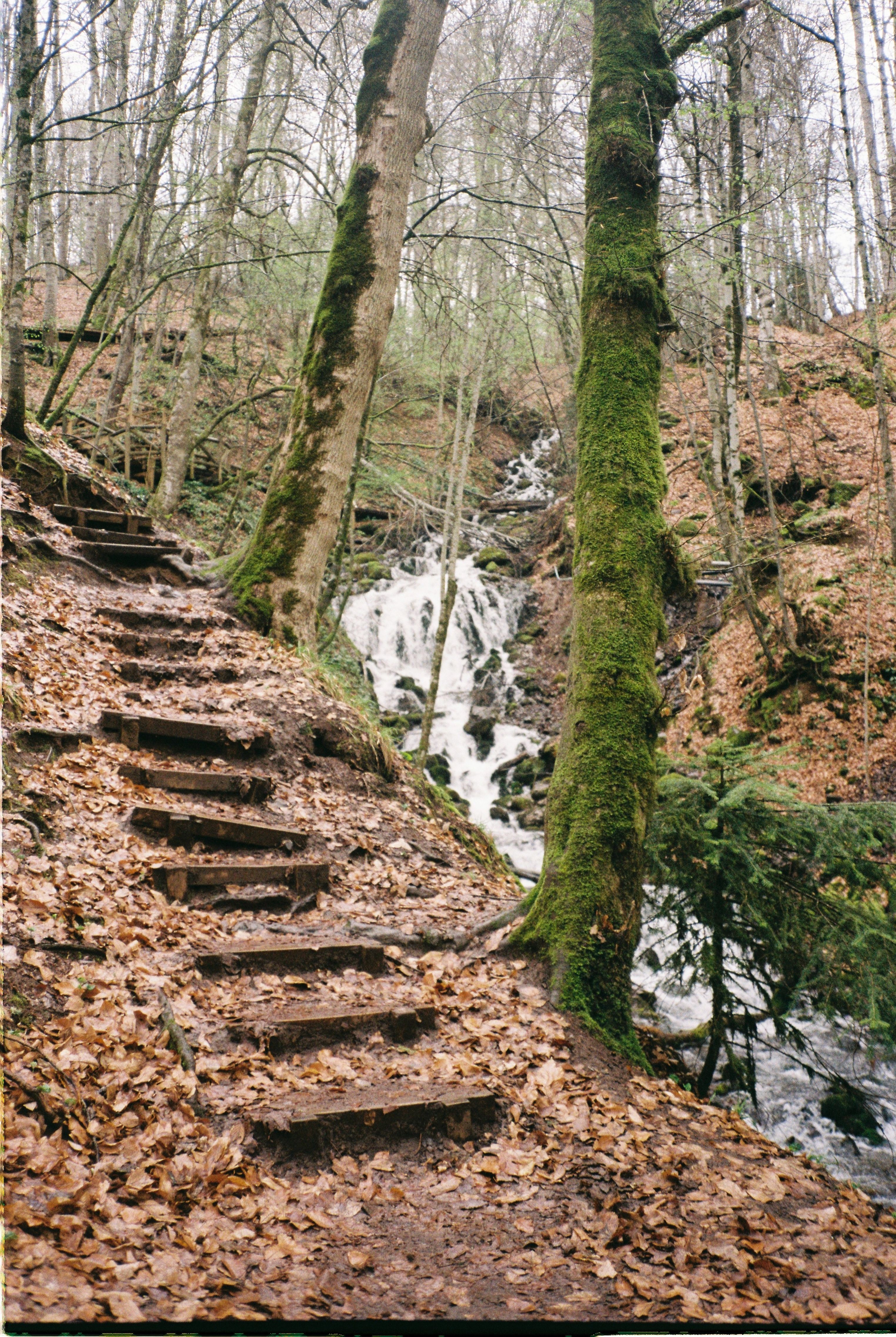 Importance Of Smaller Steps Photos, Download The BEST Free Importance ...