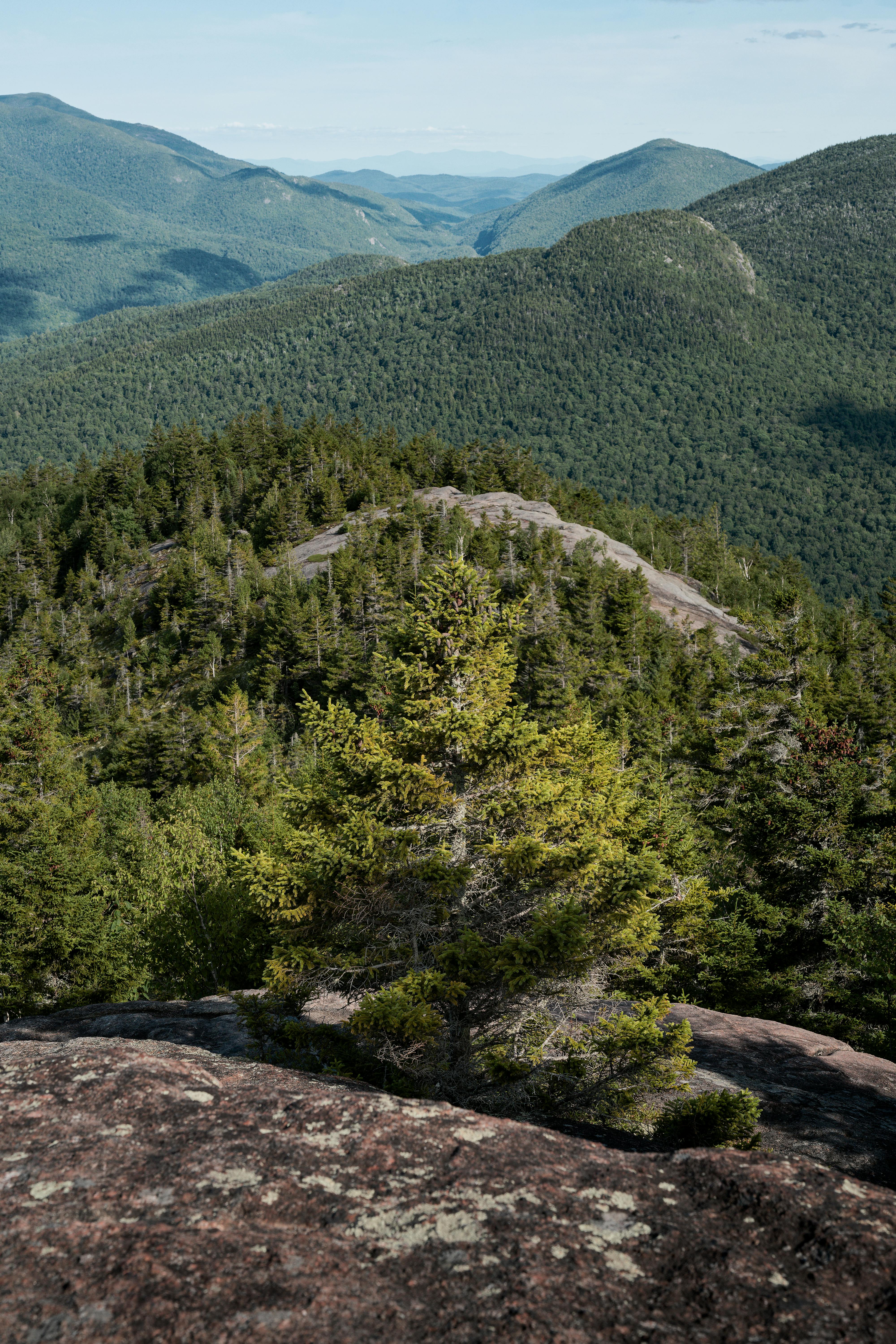 Brother+Pic Photos, Download The BEST Free Brother+Pic Stock Photos ...