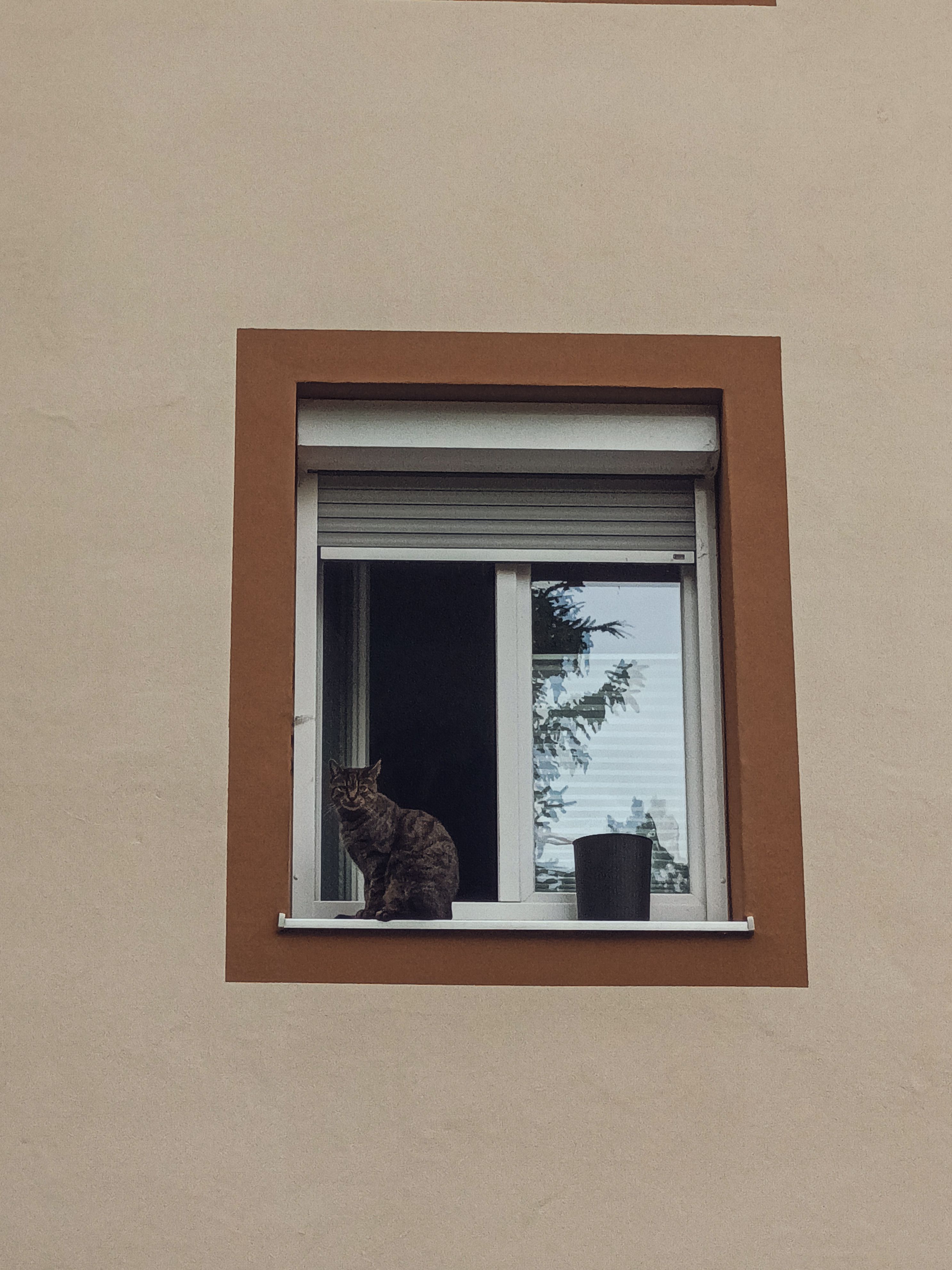 Sloped Window Sill Ledge Photos, Download The BEST Free Sloped Window ...