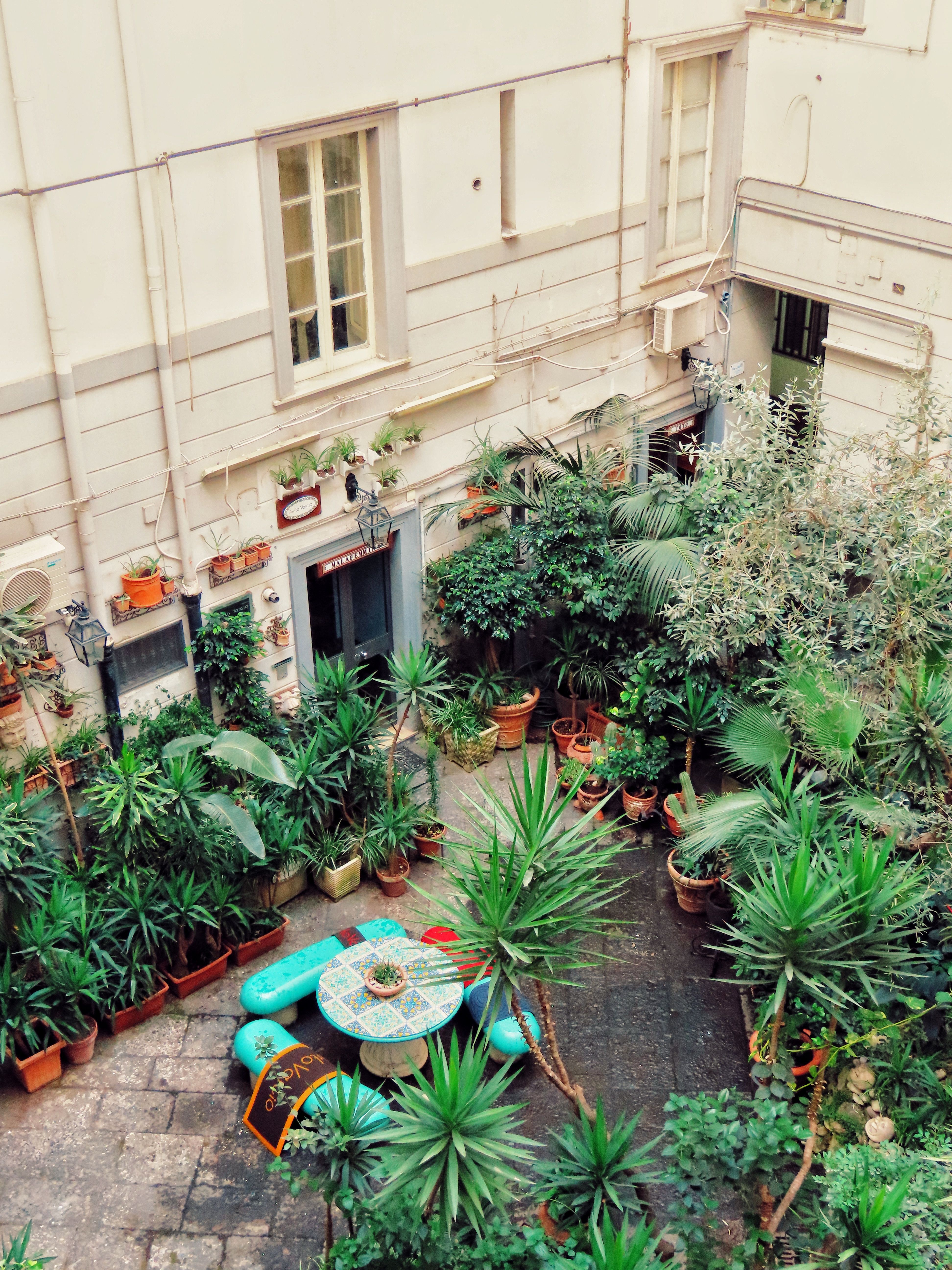 Charming Urban Courtyard with Lush Greenery · Free Stock Photo