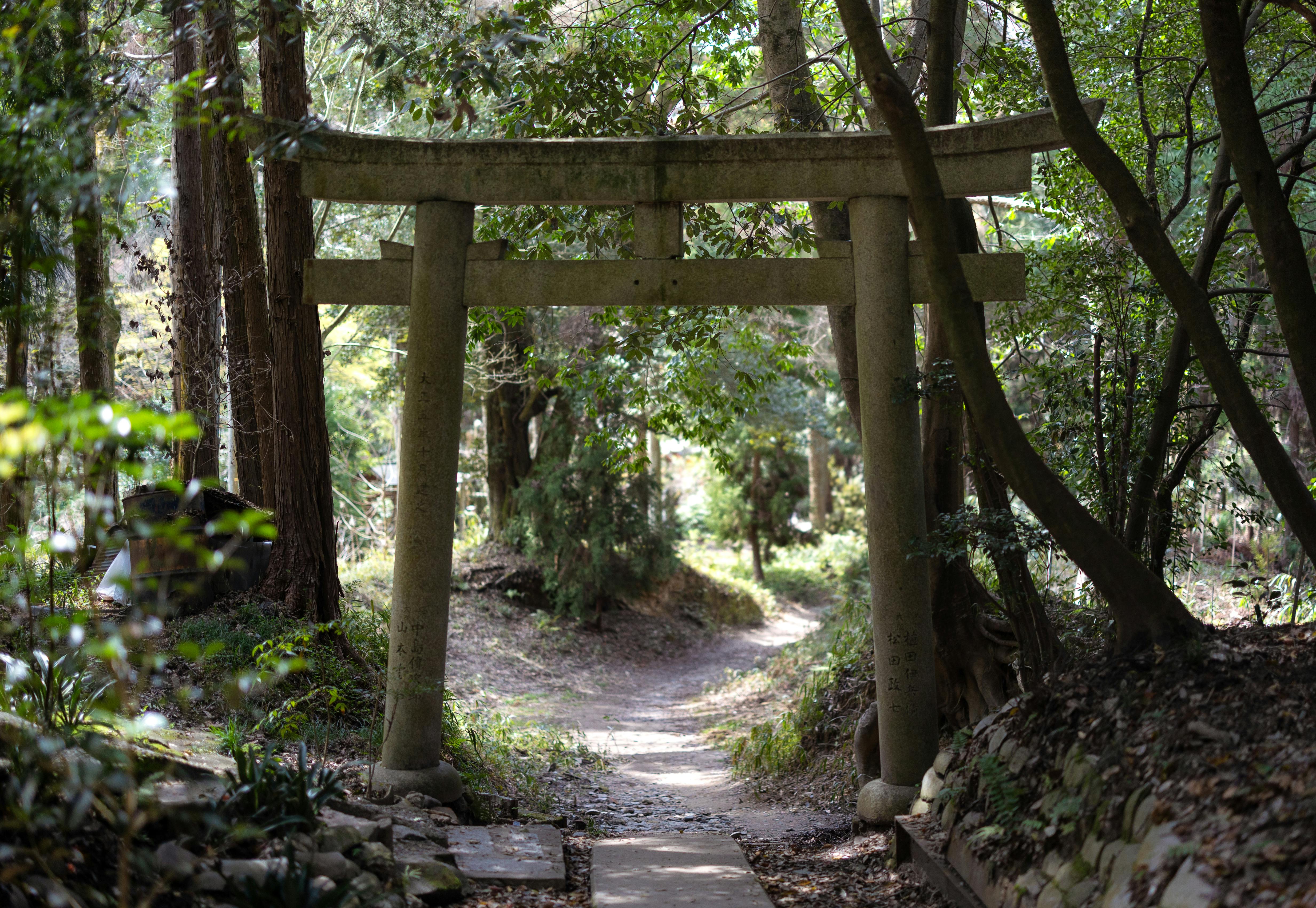 Ancient Stone Torii Gate in Kyoto Forest · Free Stock Photo