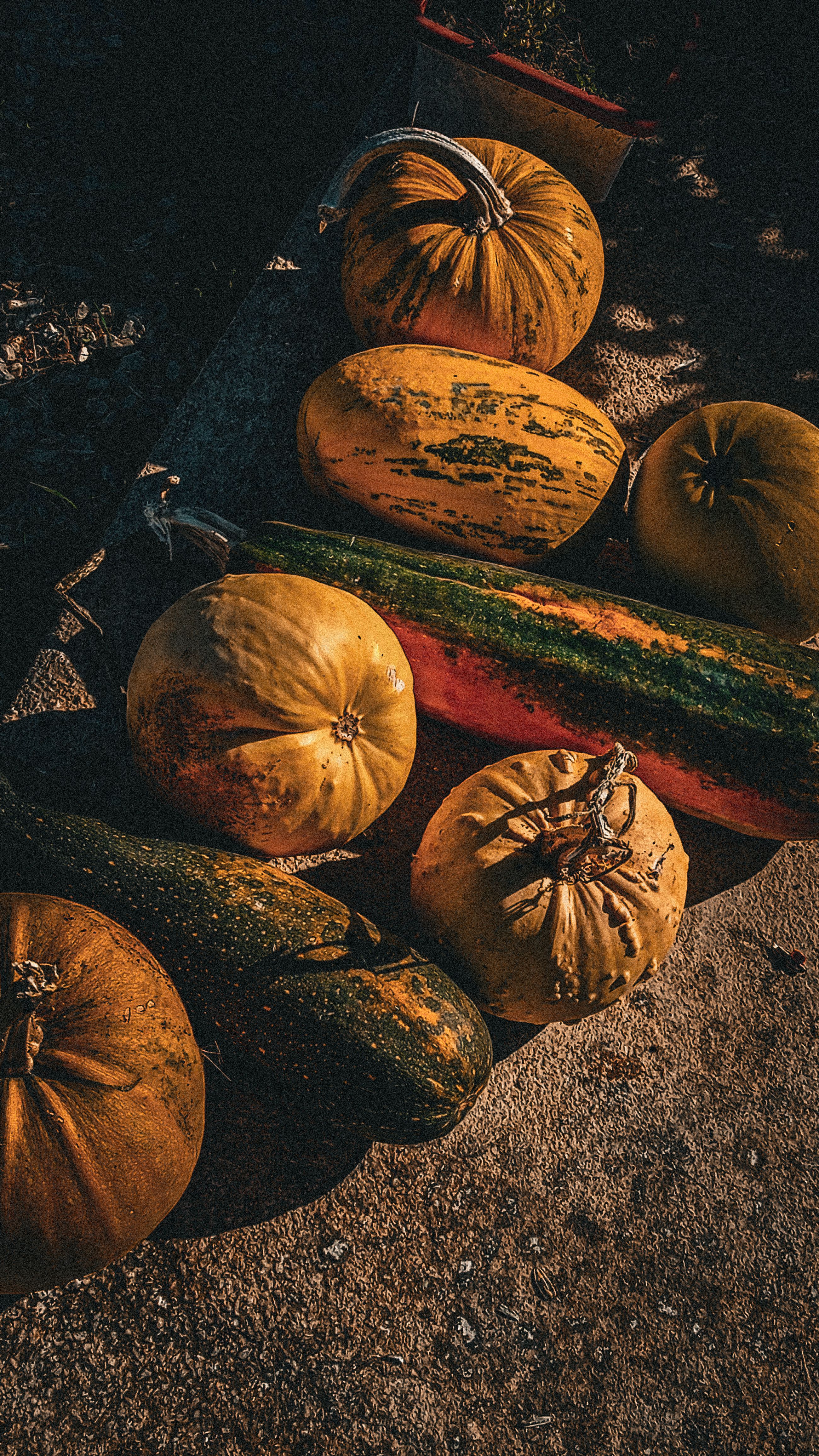 Bumpy Paper Photos, Download The BEST Free Bumpy Paper Stock Photos ...