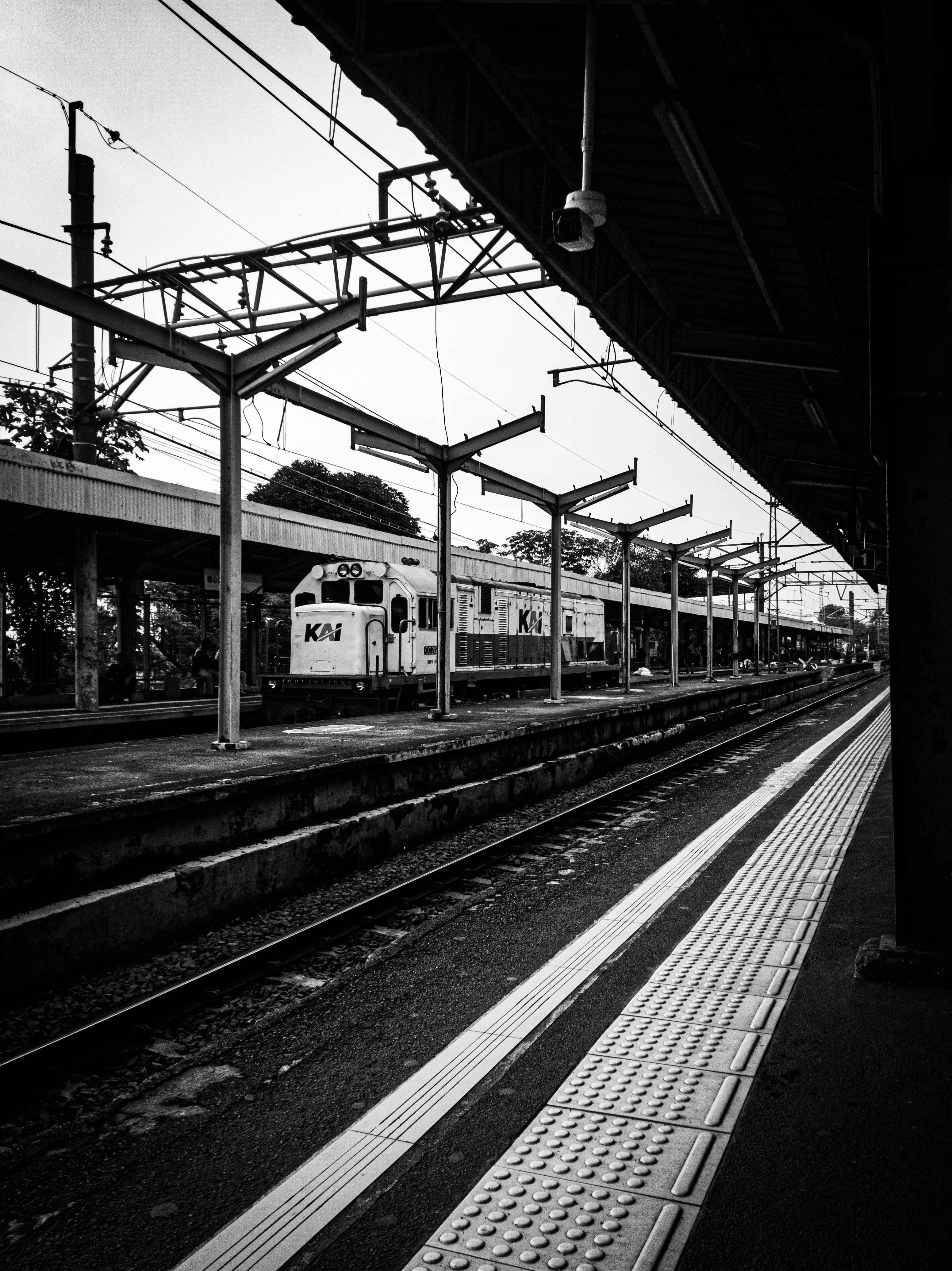 Squiggly Line Photos, Download The BEST Free Squiggly Line Stock Photos ...