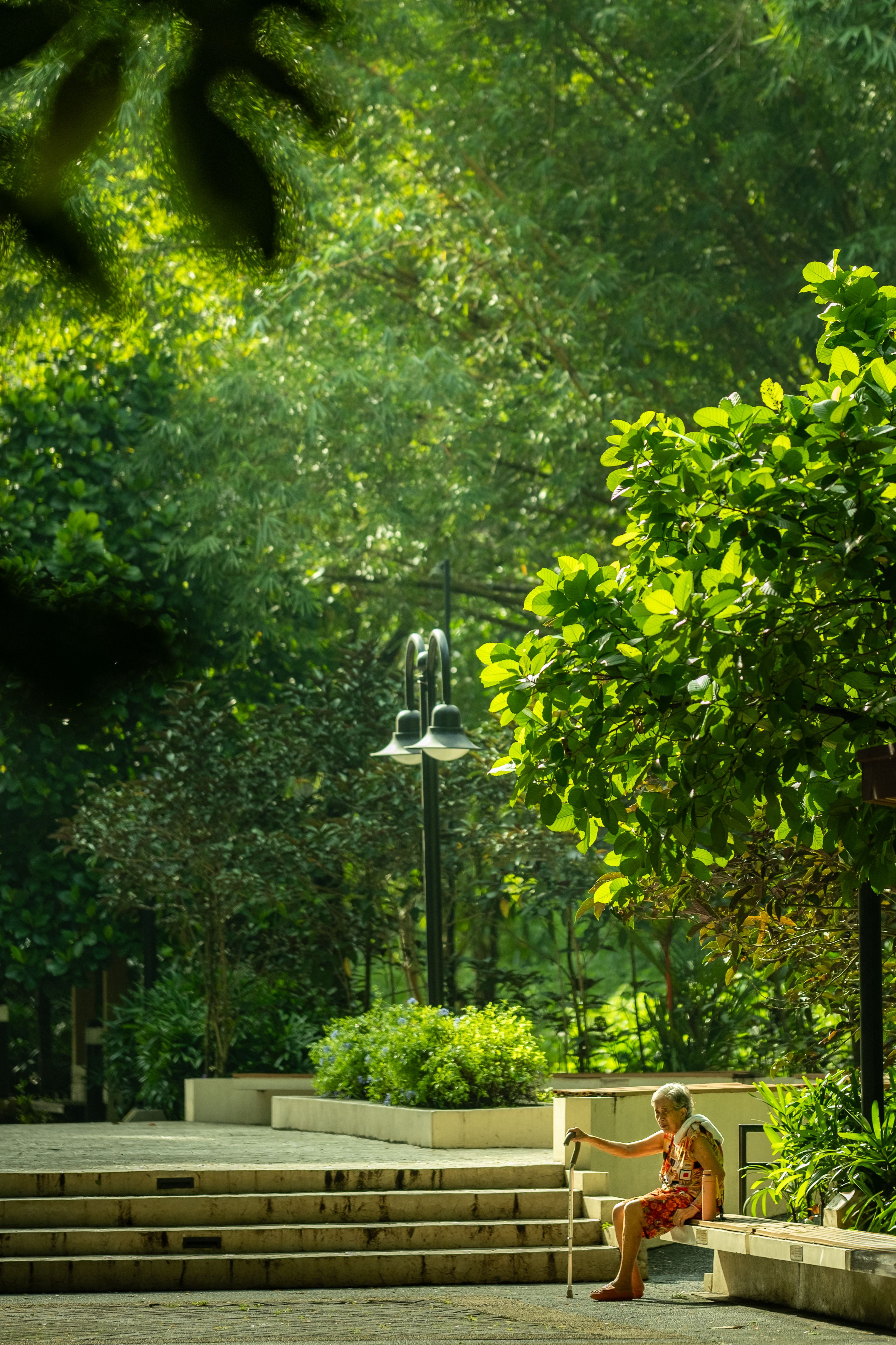 Exercise Garden Photos, Download The BEST Free Exercise Garden Stock ...