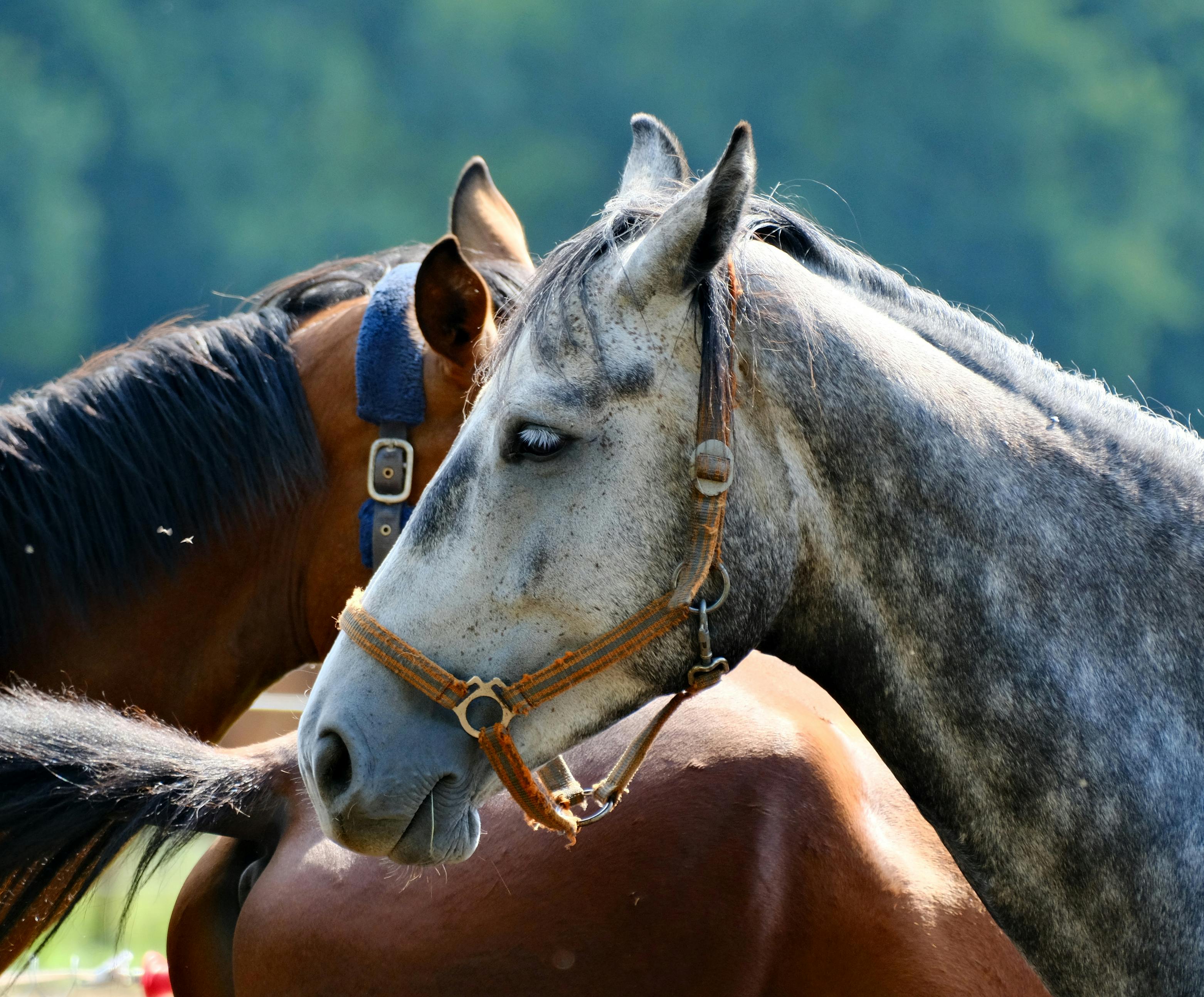 Friends Hobnobbing Photos, Download The BEST Free Friends Hobnobbing ...