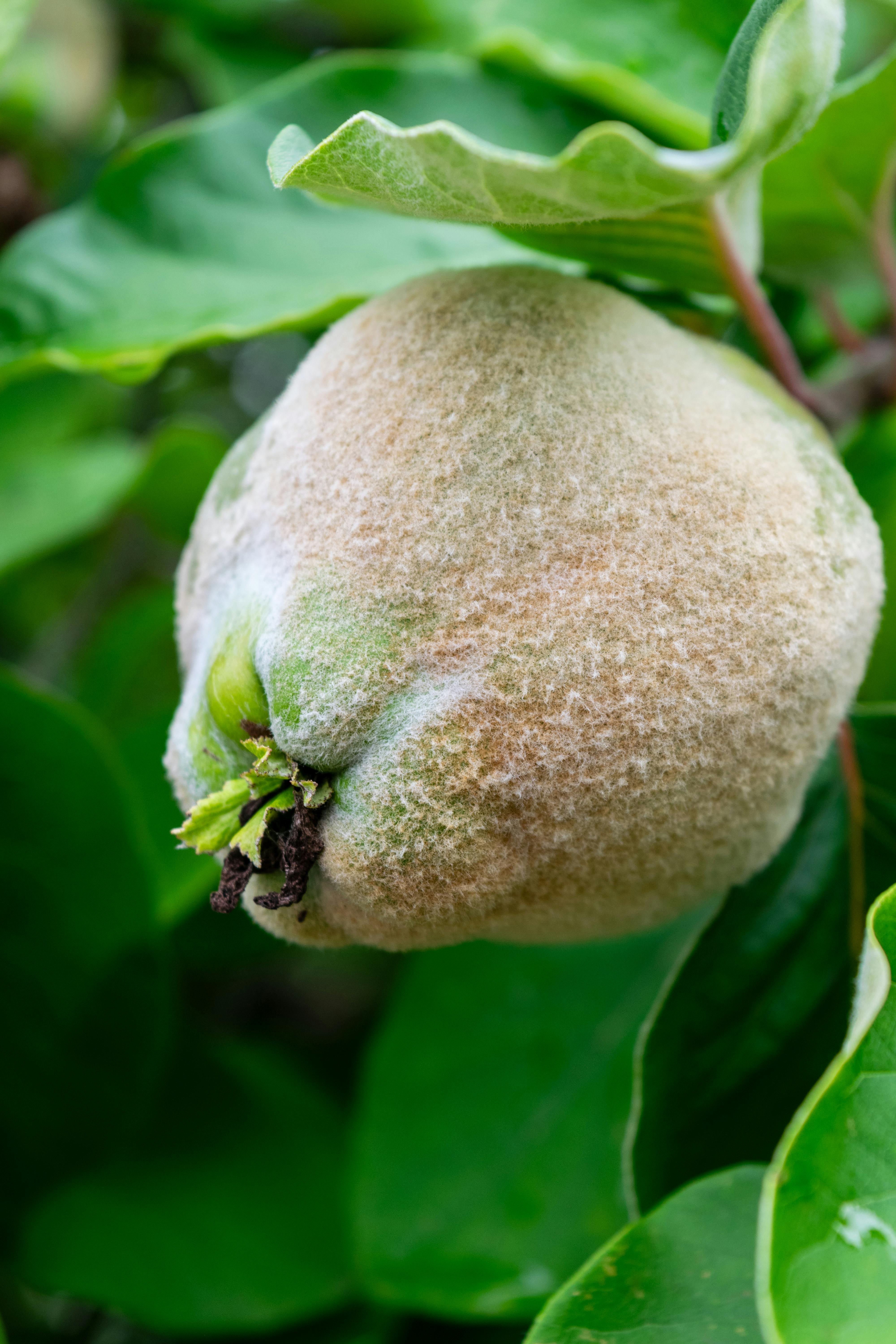 Raw Pixels Photos, Download The BEST Free Raw Pixels Stock Photos & HD ...