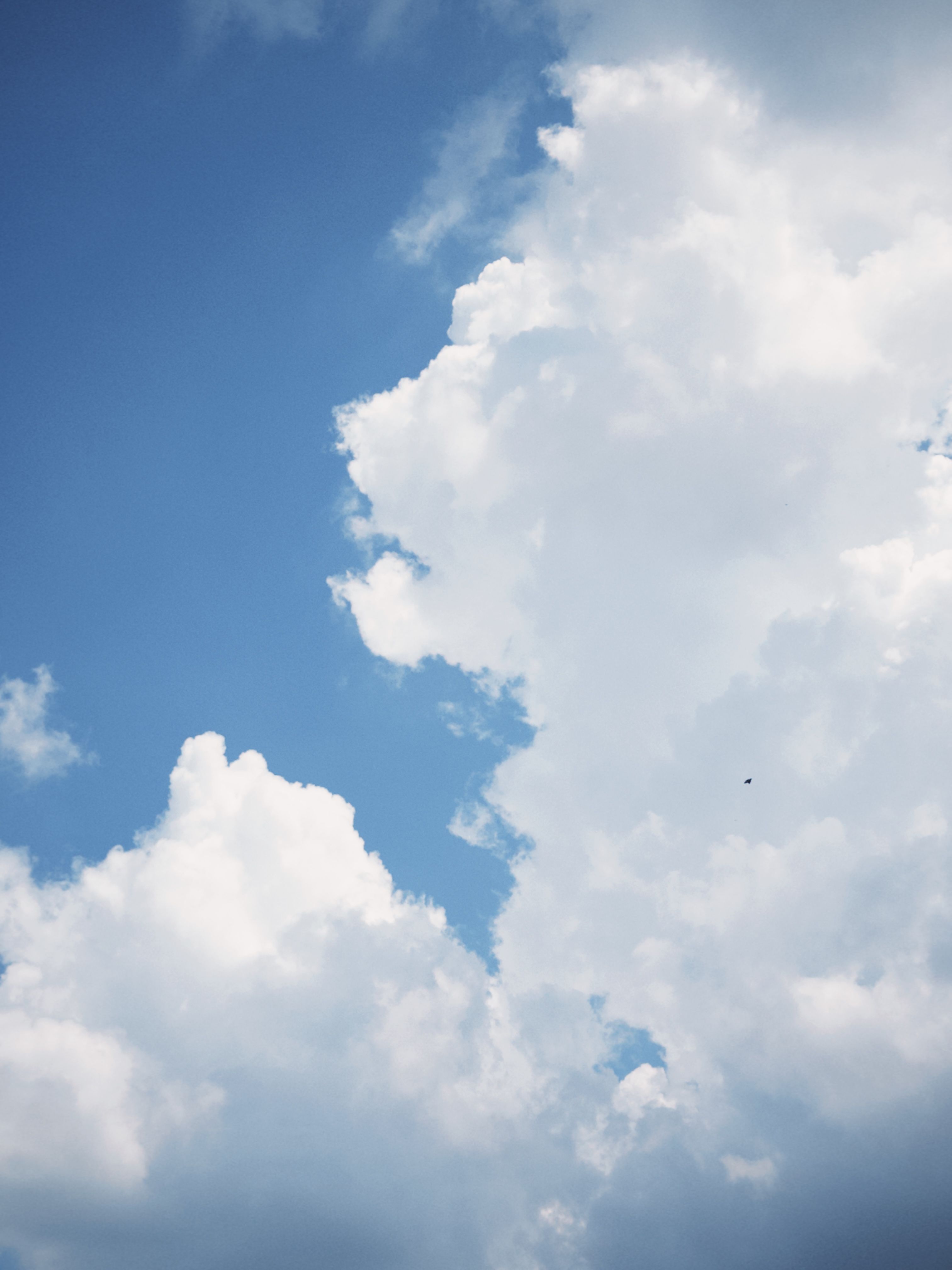 Blue Sky Landscape Photos, Download The BEST Free Blue Sky Landscape ...