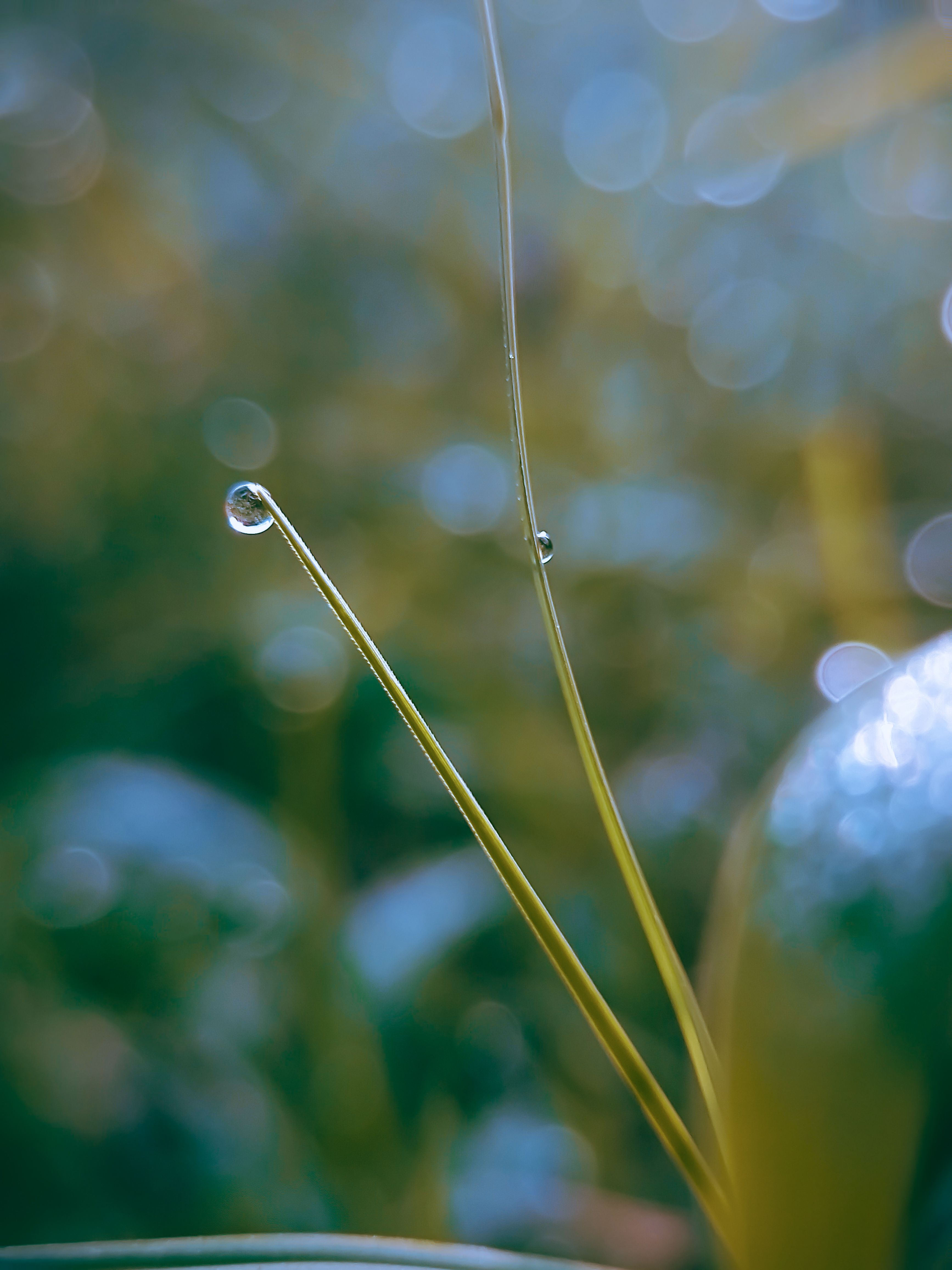 Water Drop Lifting Photos, Download The BEST Free Water Drop Lifting ...