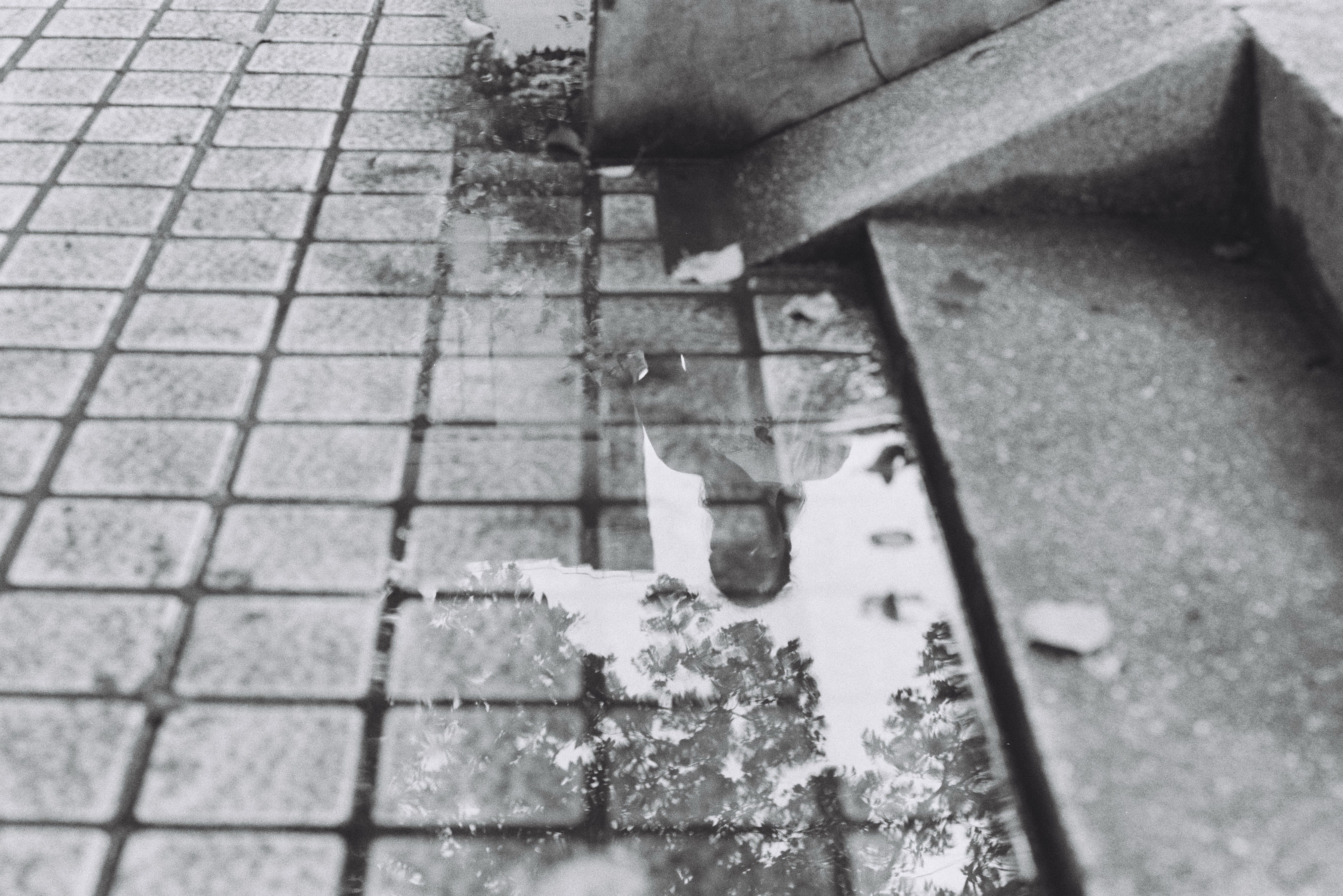 Reflective Urban Scene with Puddle and Steps · Free Stock Photo