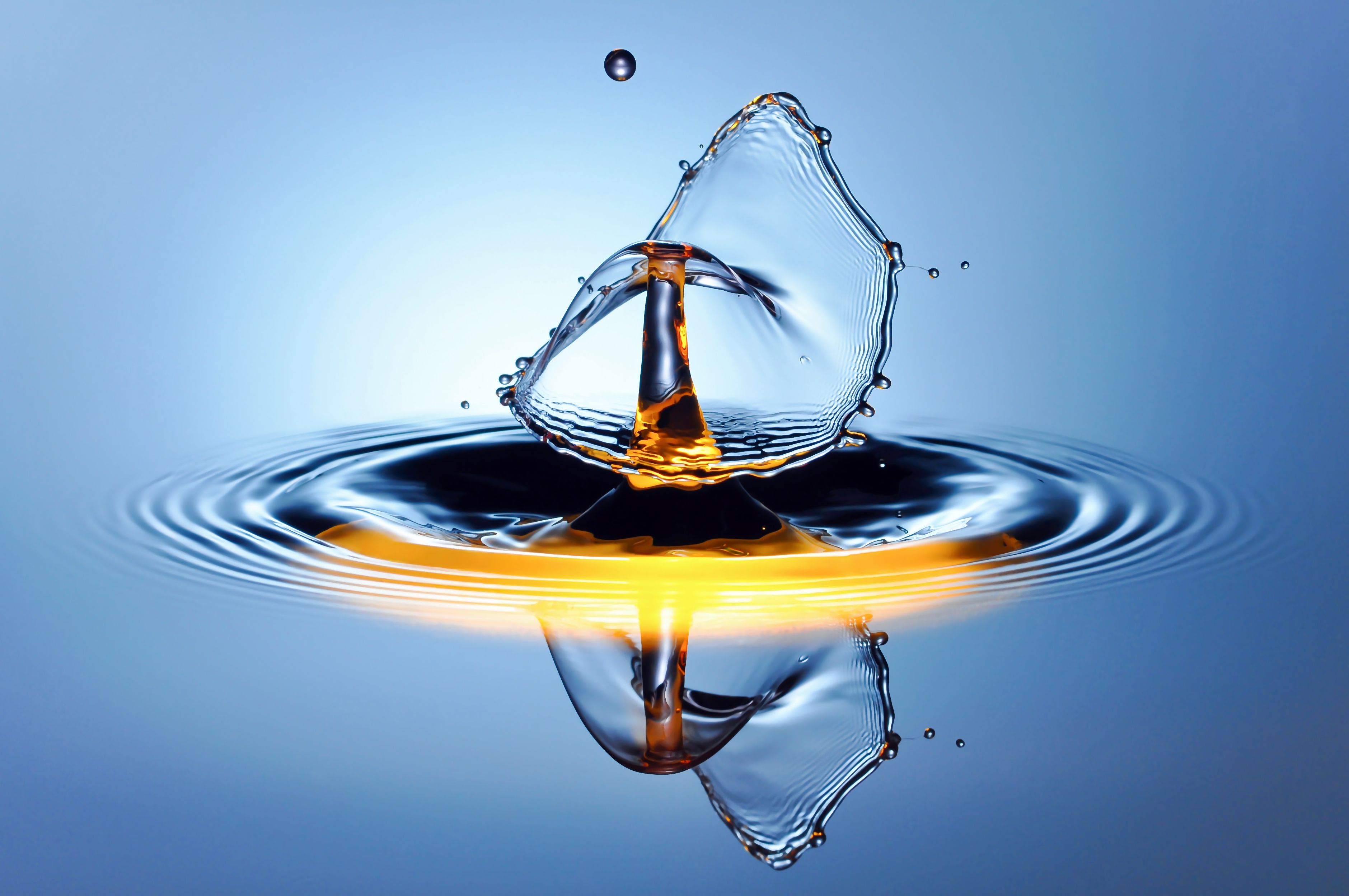 Close Up Water Drop Photography · Free Stock Photo