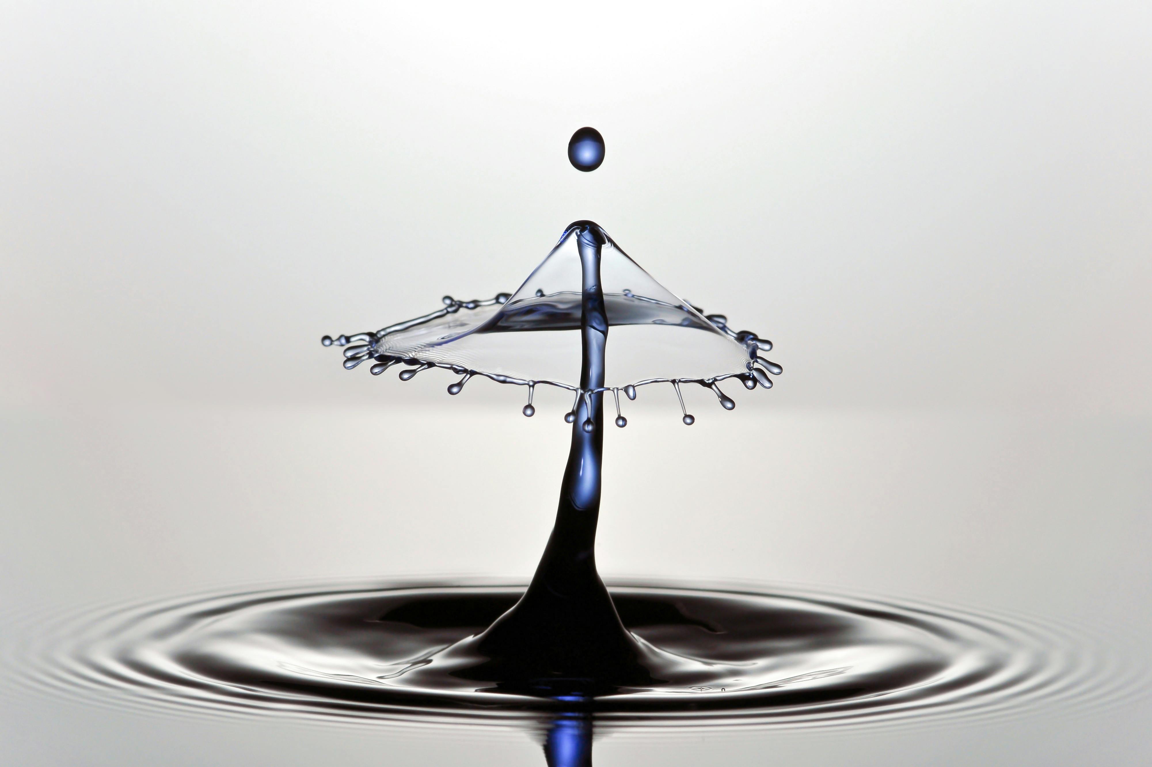 Roblox+Spawn+Point+Transparent+Png Photos, Download The BEST Free ...