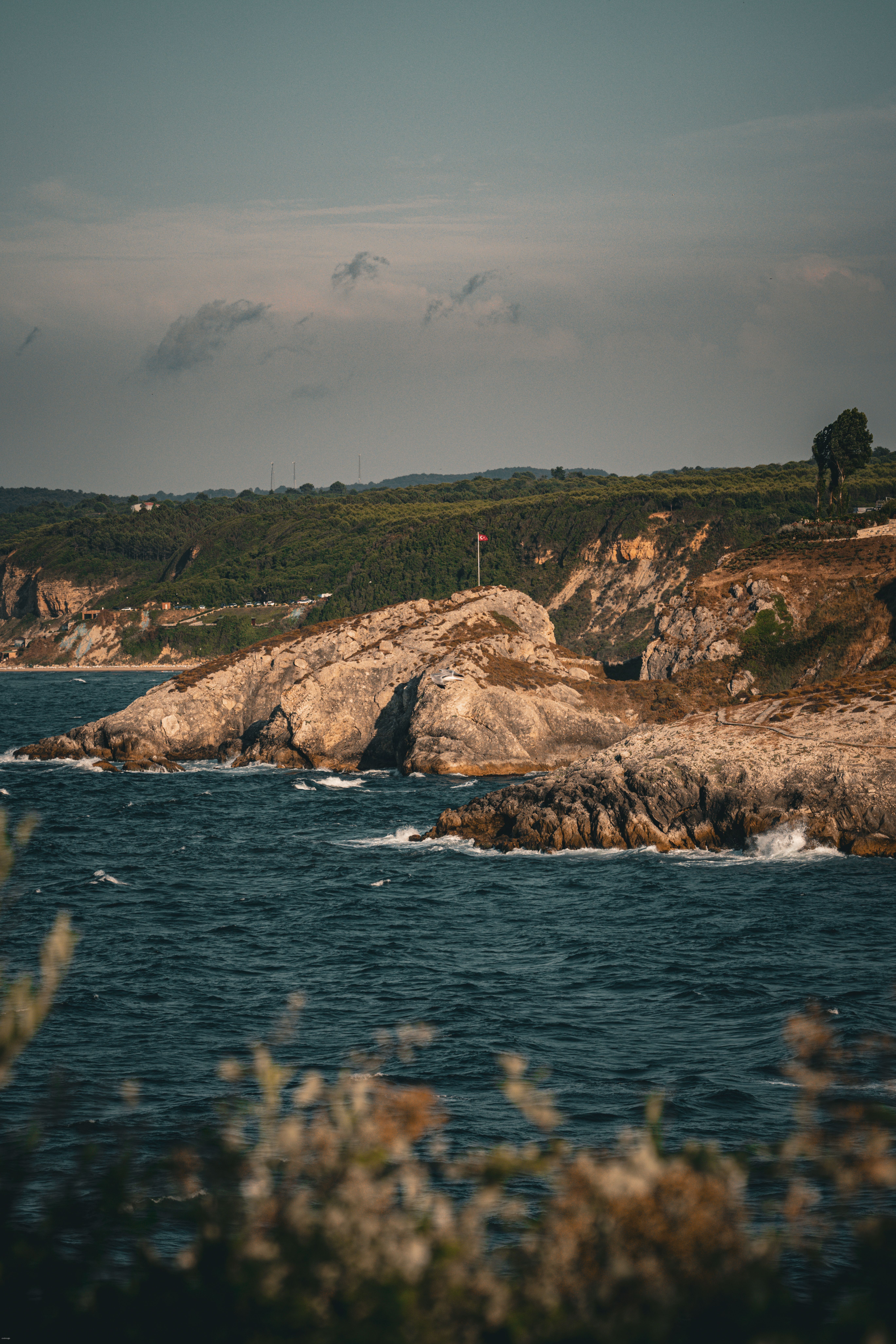 Windy De Photos, Download The BEST Free Windy De Stock Photos & HD Images