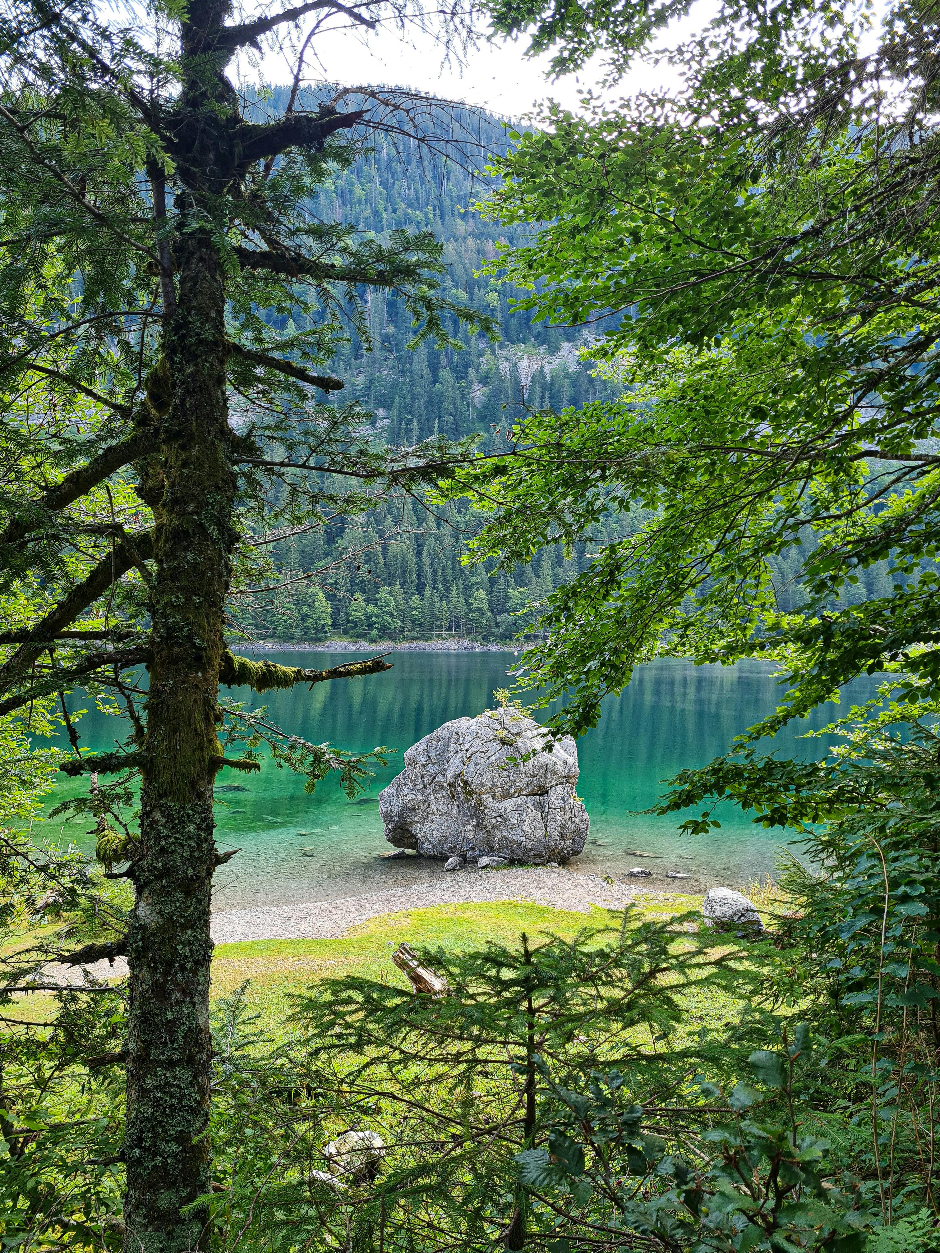 Landscape Blue Lake Forest Photos, Download The BEST Free Landscape ...